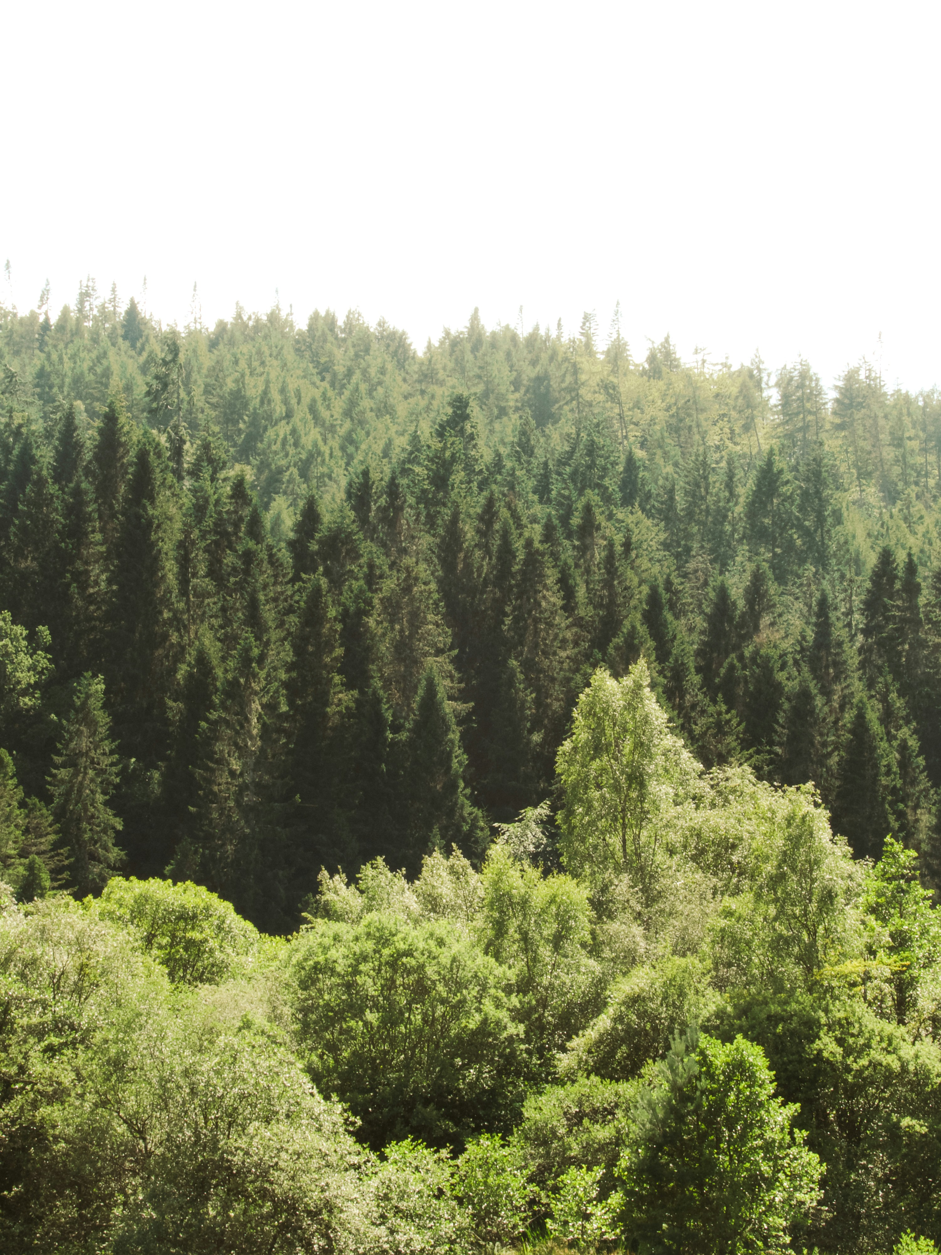 Isabela Martin (@izzymar) | Komunitas Foto Unsplash