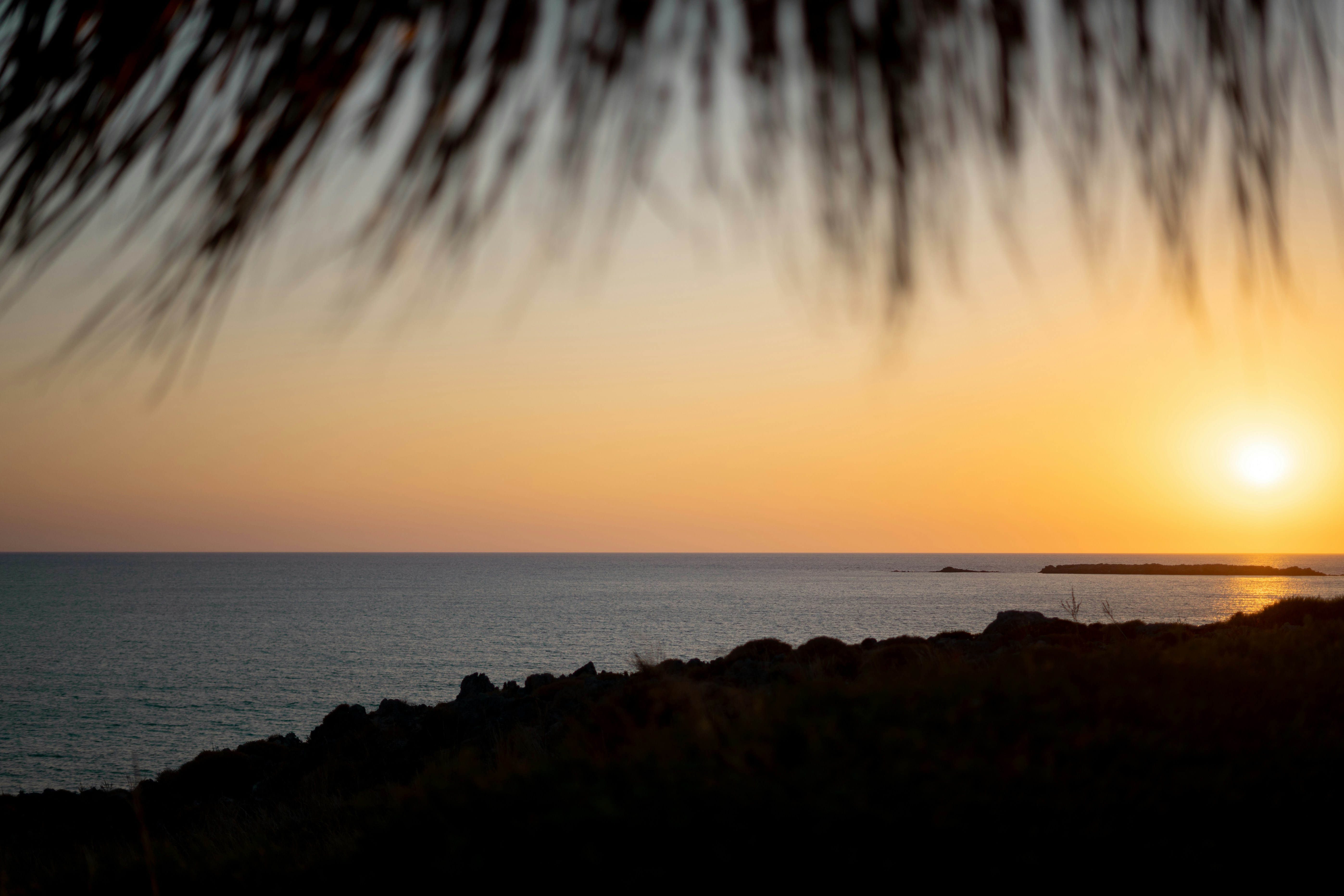 Sunset casting warm hues over the calm ocean, framed by natural foliage. The horizon blends seamlessly into the tranquil waters.