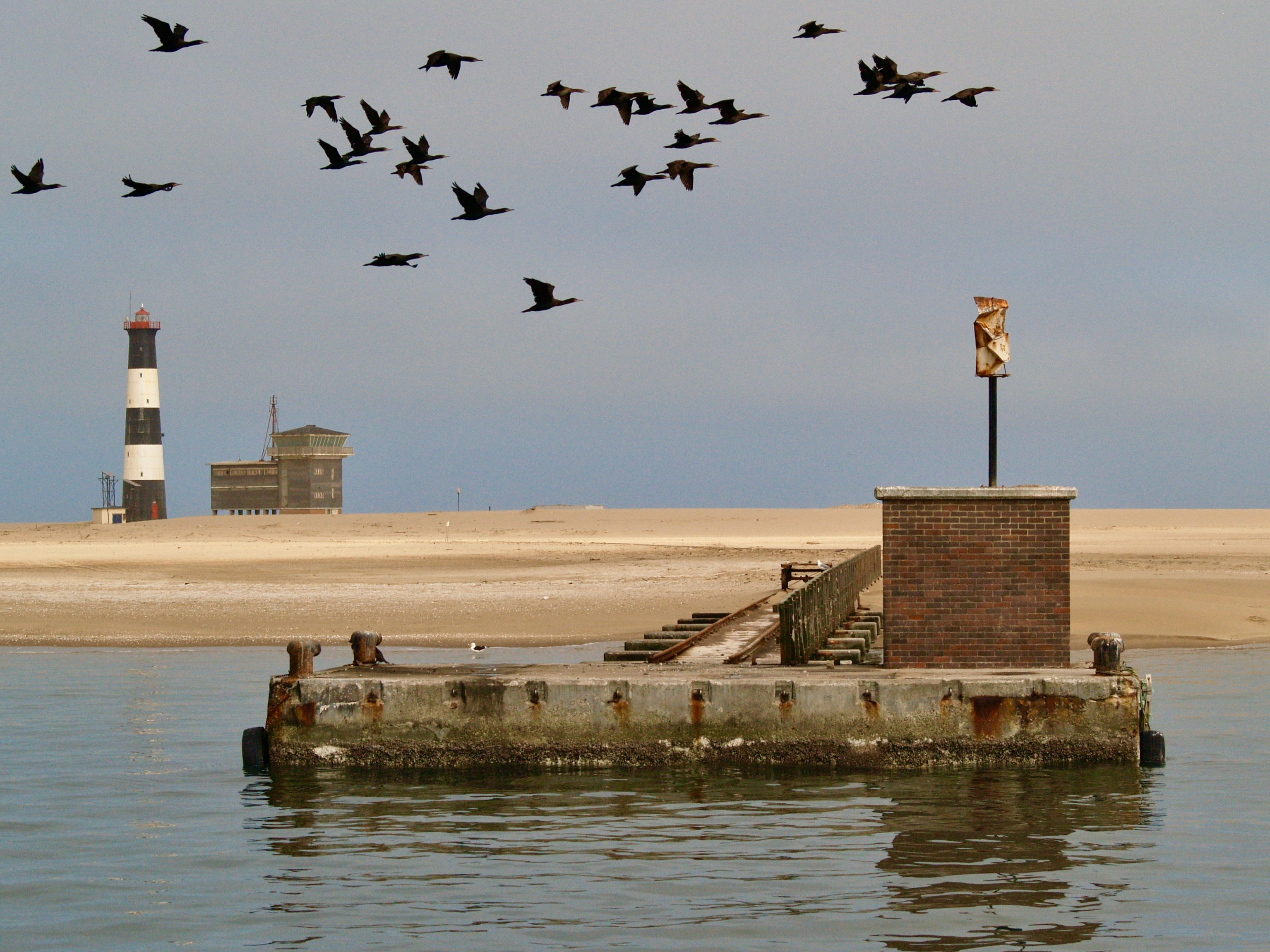 Flock of birds flies over a weathered pier with a distant lighthouse and harbor structures on a calm coastal scene.