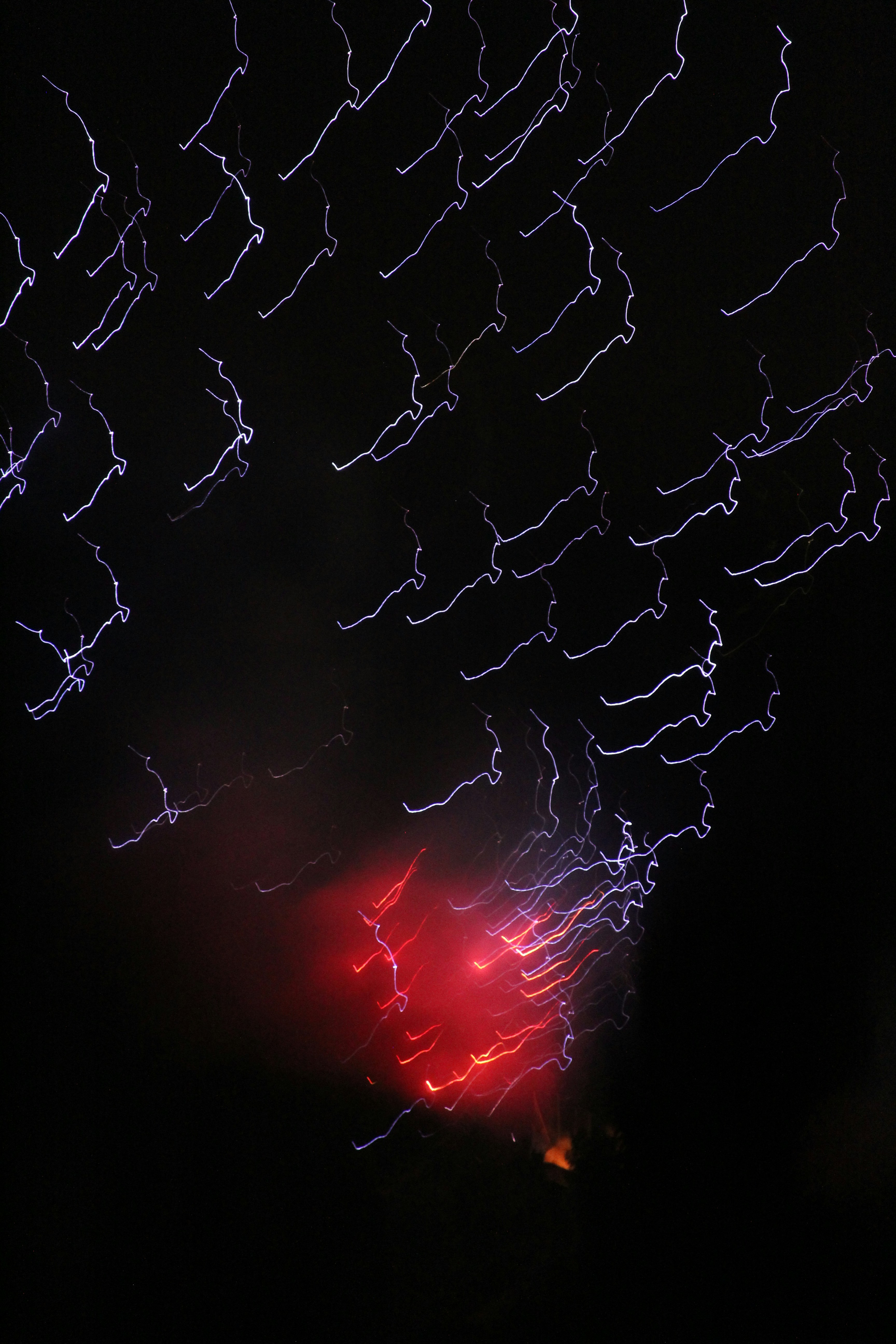 Red Ember Bloom Beneath Electric Lace
