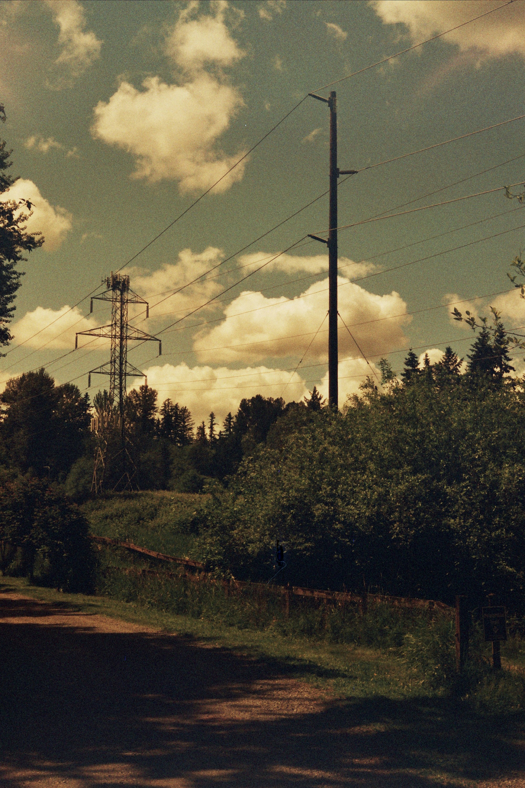 Sepia-toned rural landscape photograph with a tall transmission pole and crossing lines, a dirt road in the foreground, and lush trees under a partly cloudy sky.