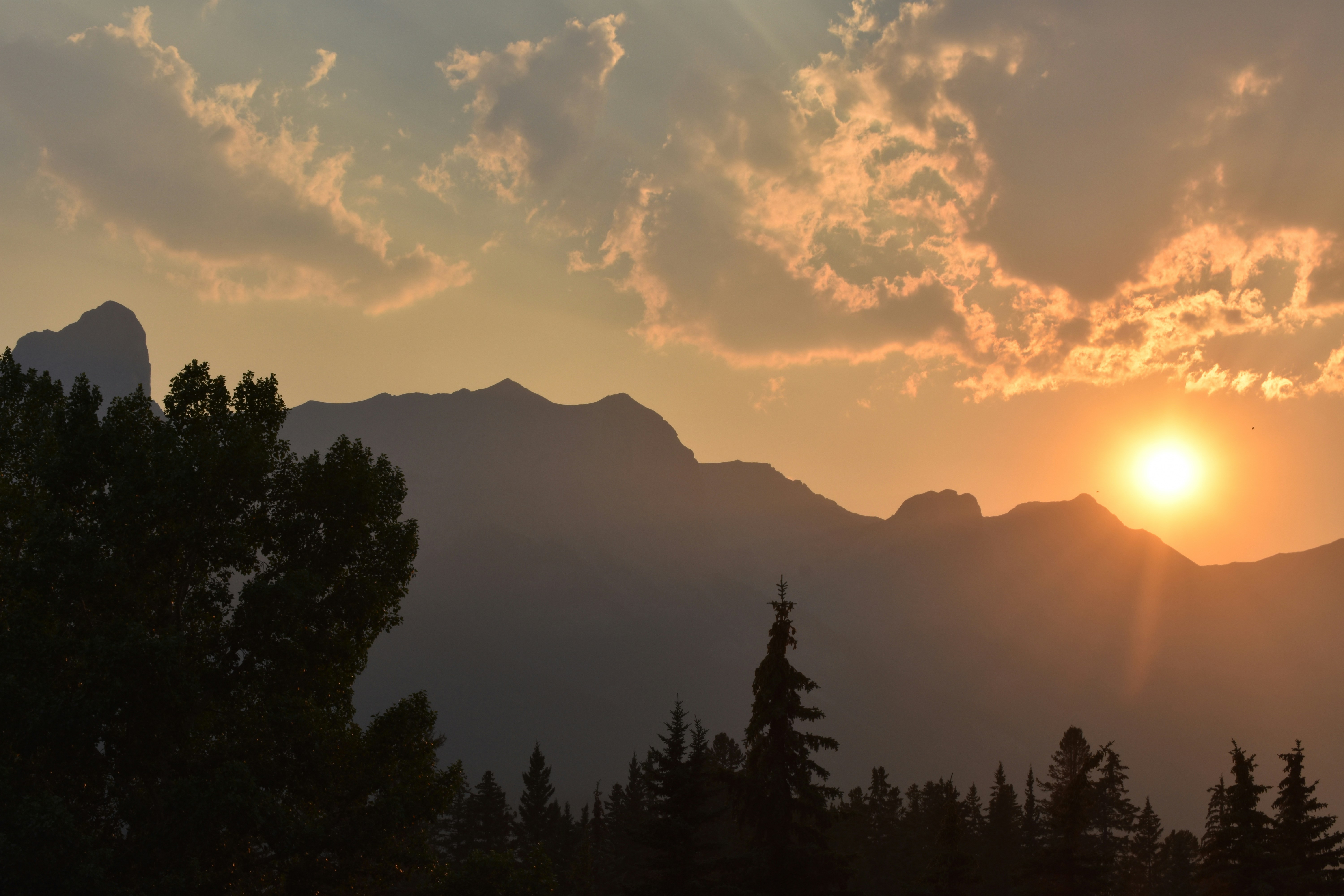Golden Hour Over the Silent Ridge: Pines Framed by a Fiery Sunset