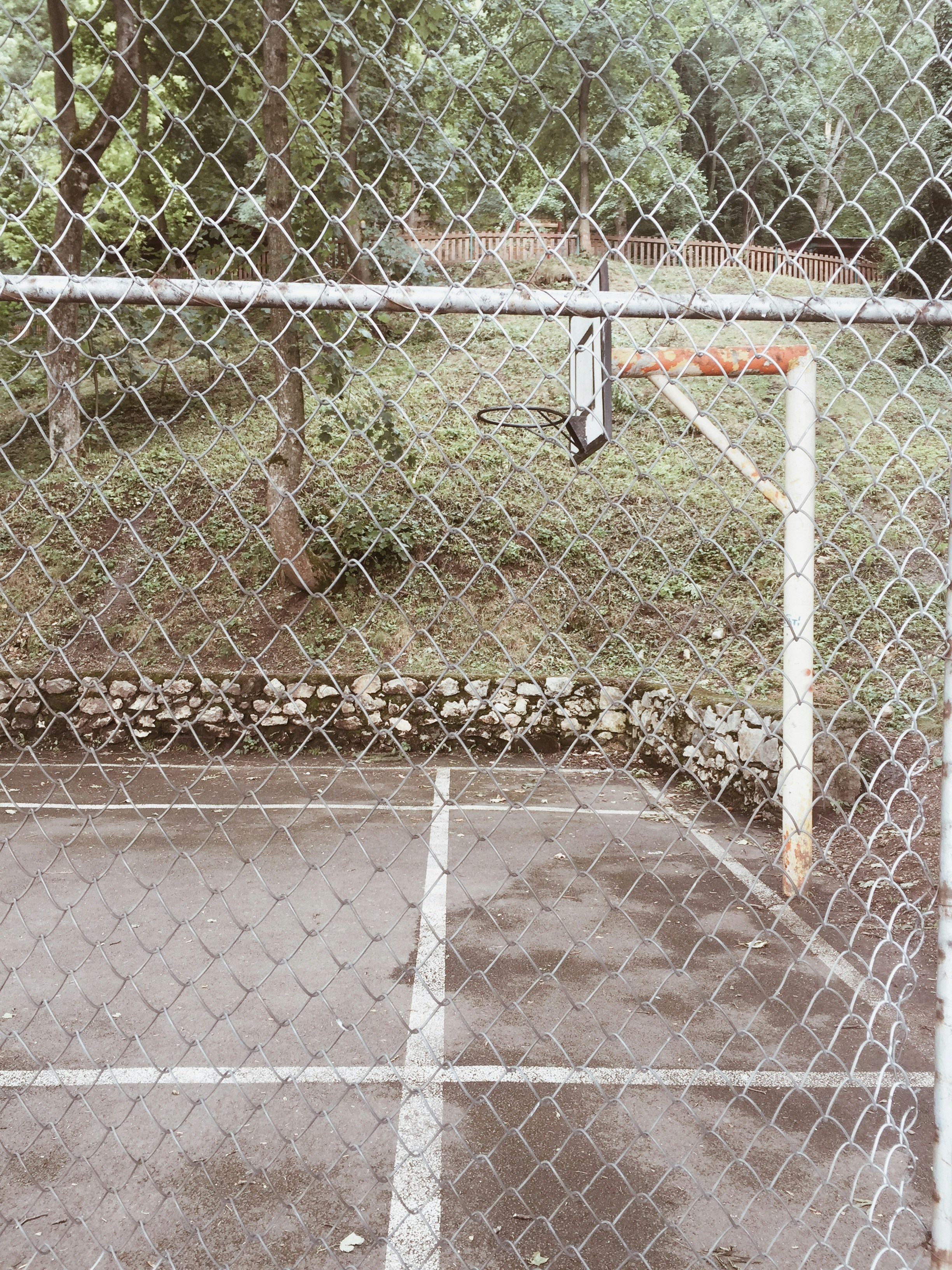 Between Mesh and Rim: A Silent Court Behind the Fence