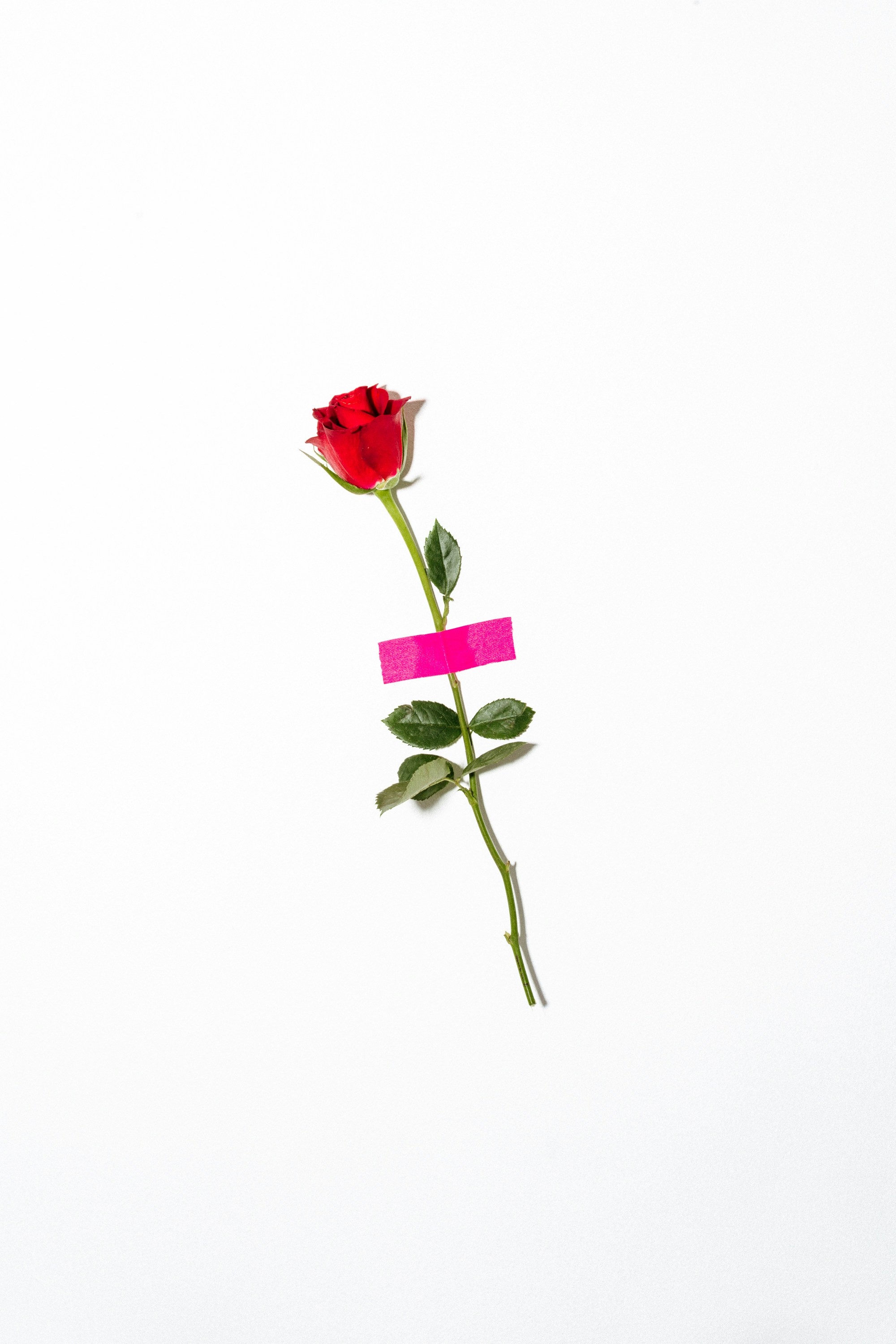 Steven Haddock (@hddddck) | Unsplash 사진 커뮤니티