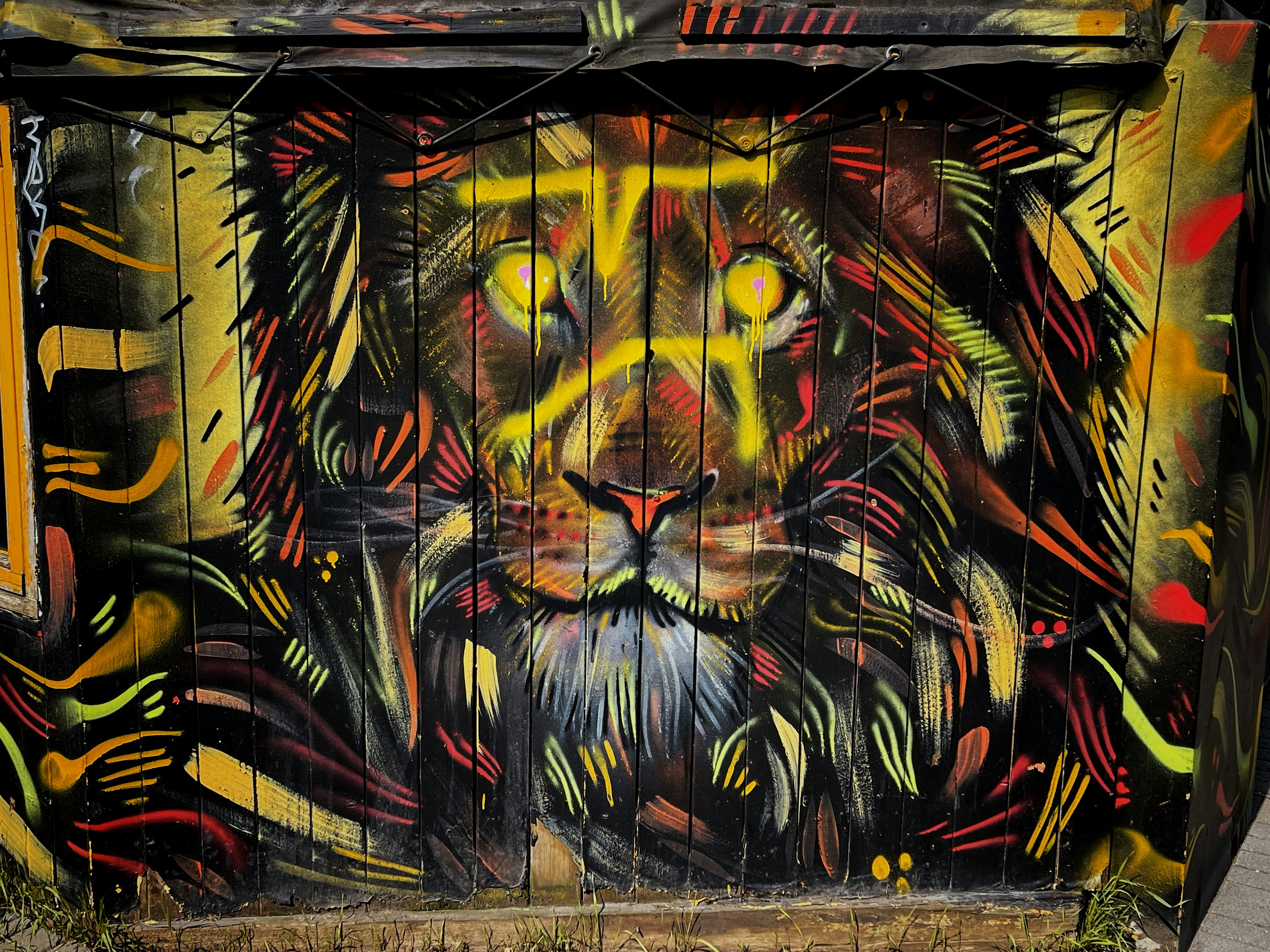 Neon-Gilded Lion: A Graffiti Portrait with Electric Gaze