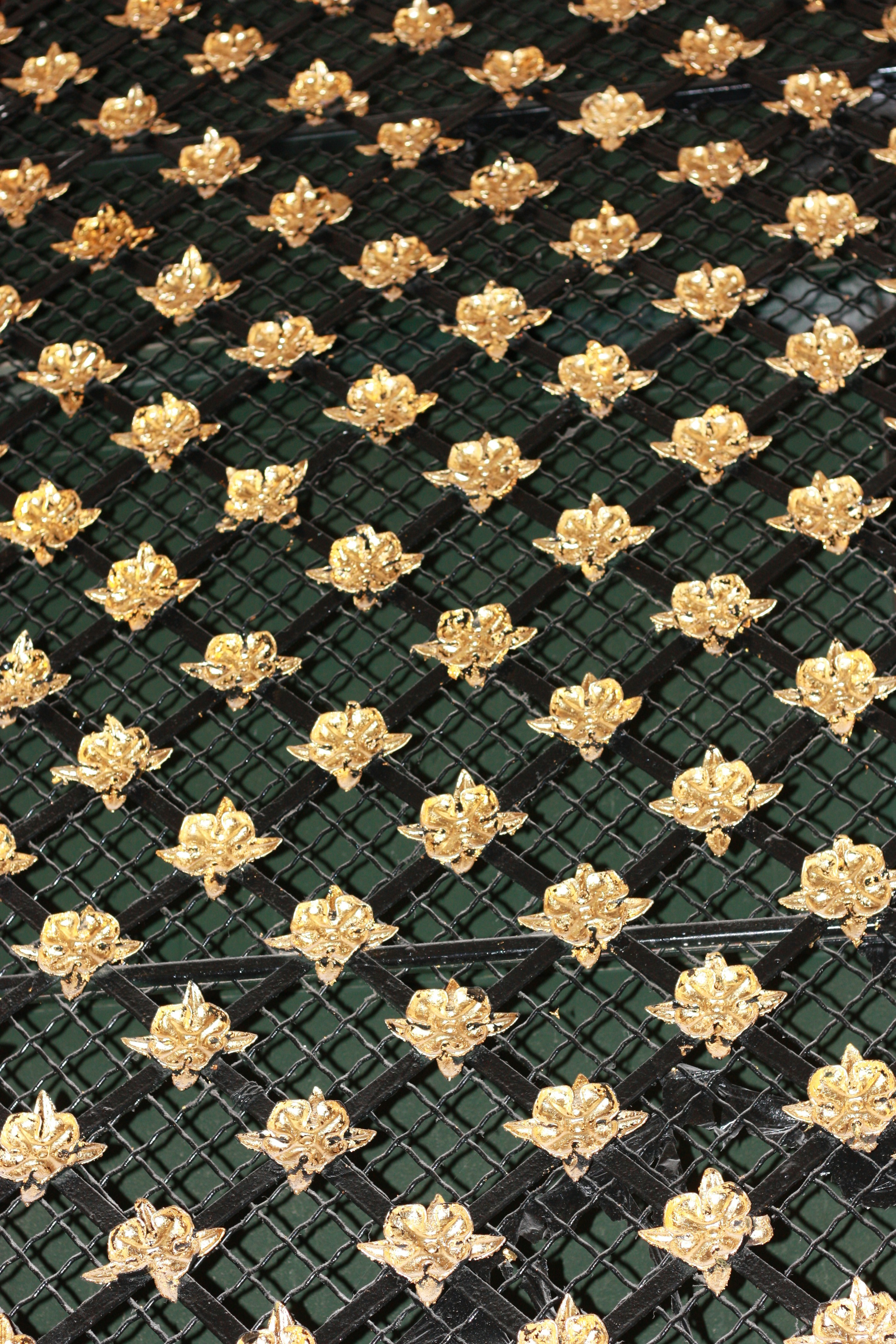 Golden Rosette Grid: Delicate Florals on a Dark Mesh