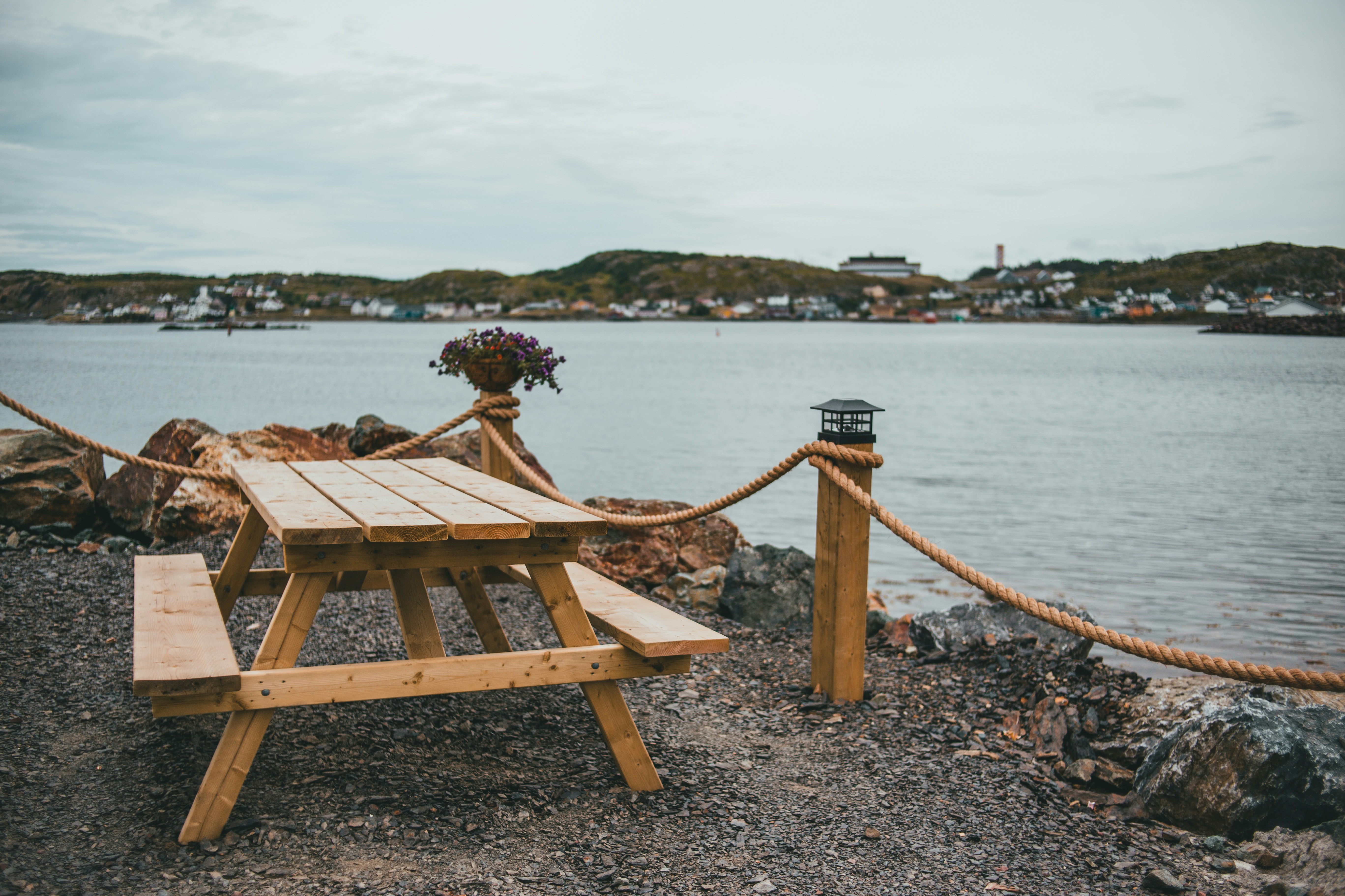 man and woman sitting on brown wooden bench near body of water during daytime