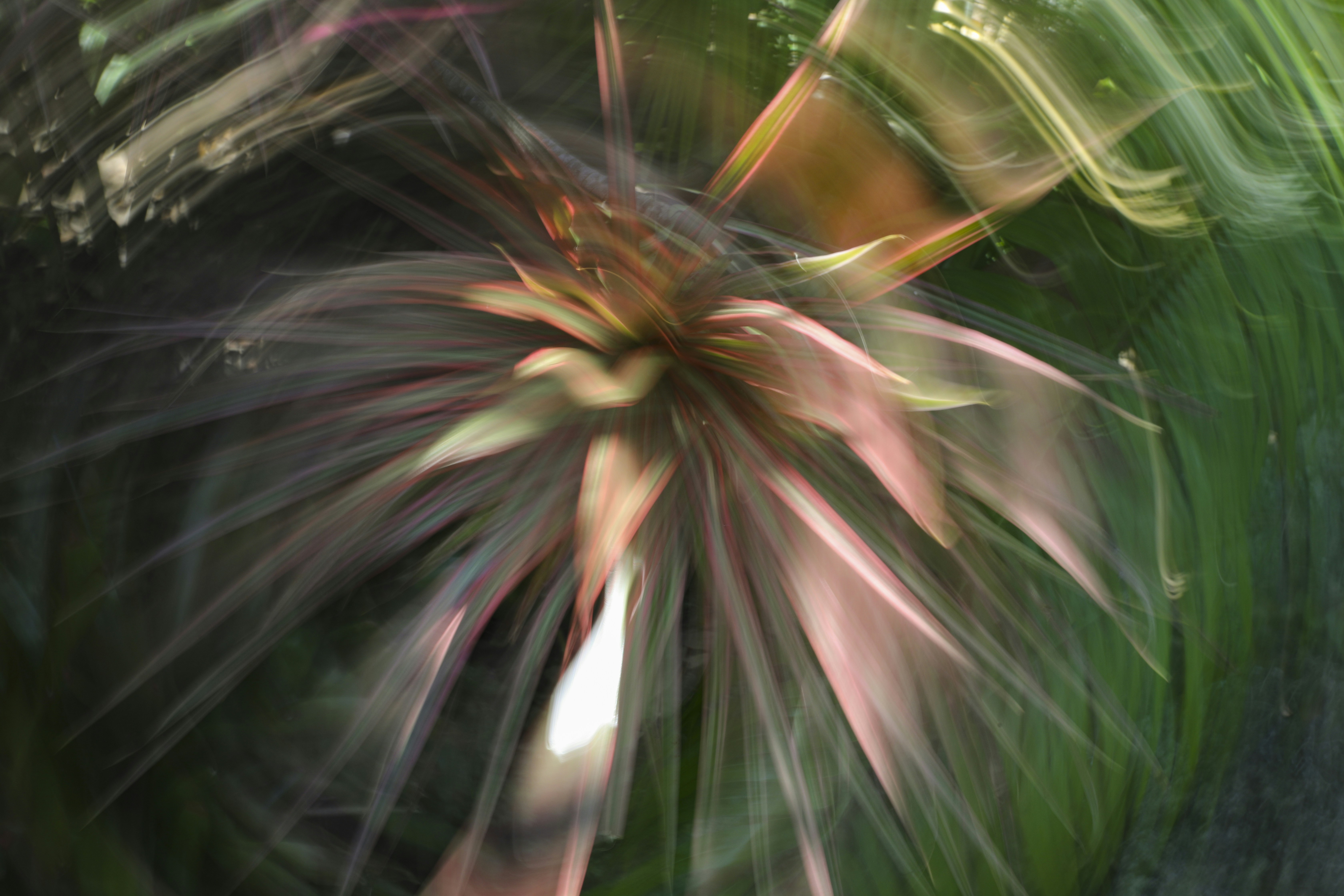 Abstract representation of a plant with swirling colors and motion blur, emphasizing the dynamic essence of nature.