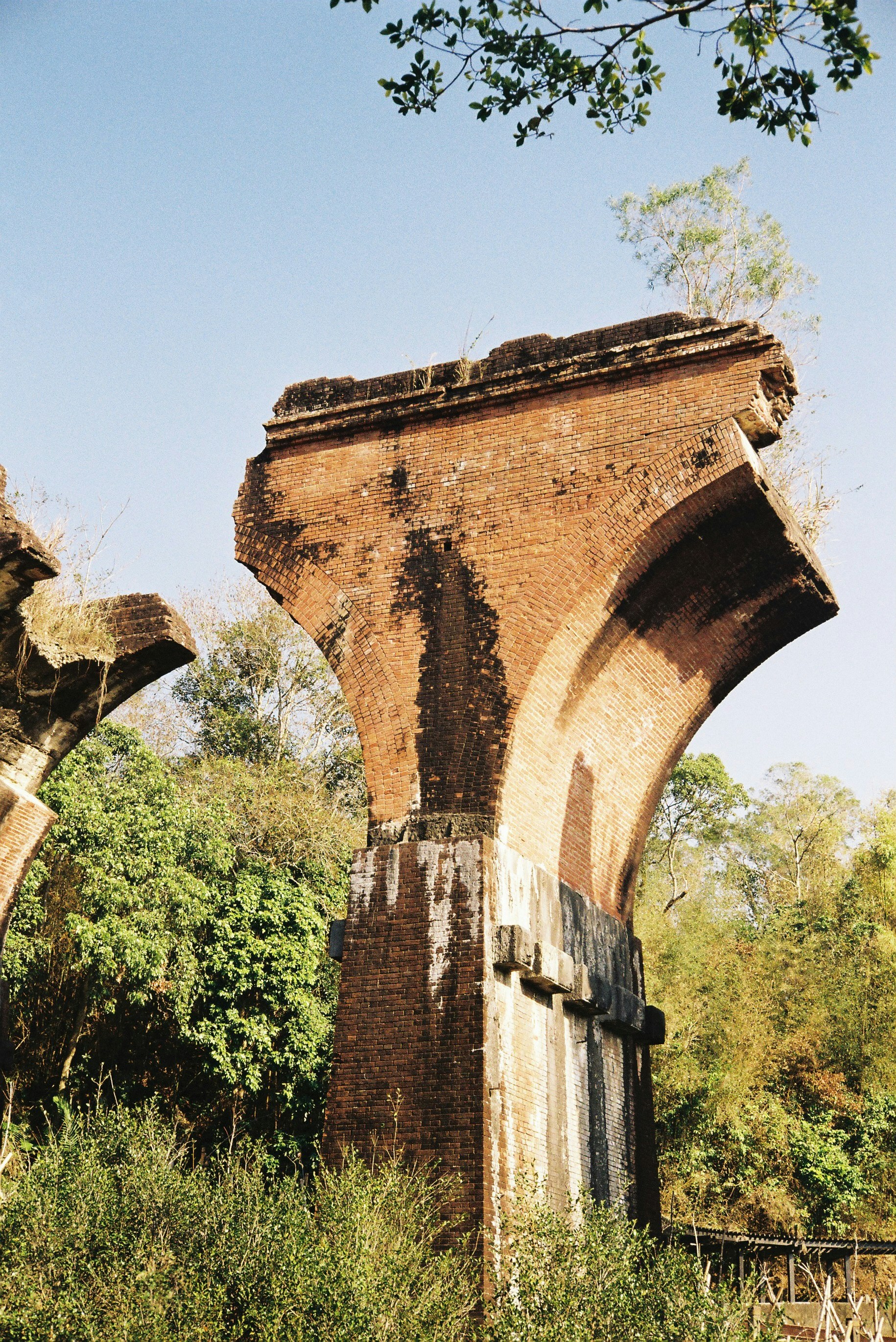 Remnant Arc: Brick Viaduct Reclaimed by Greenery Under a Blue Sky
