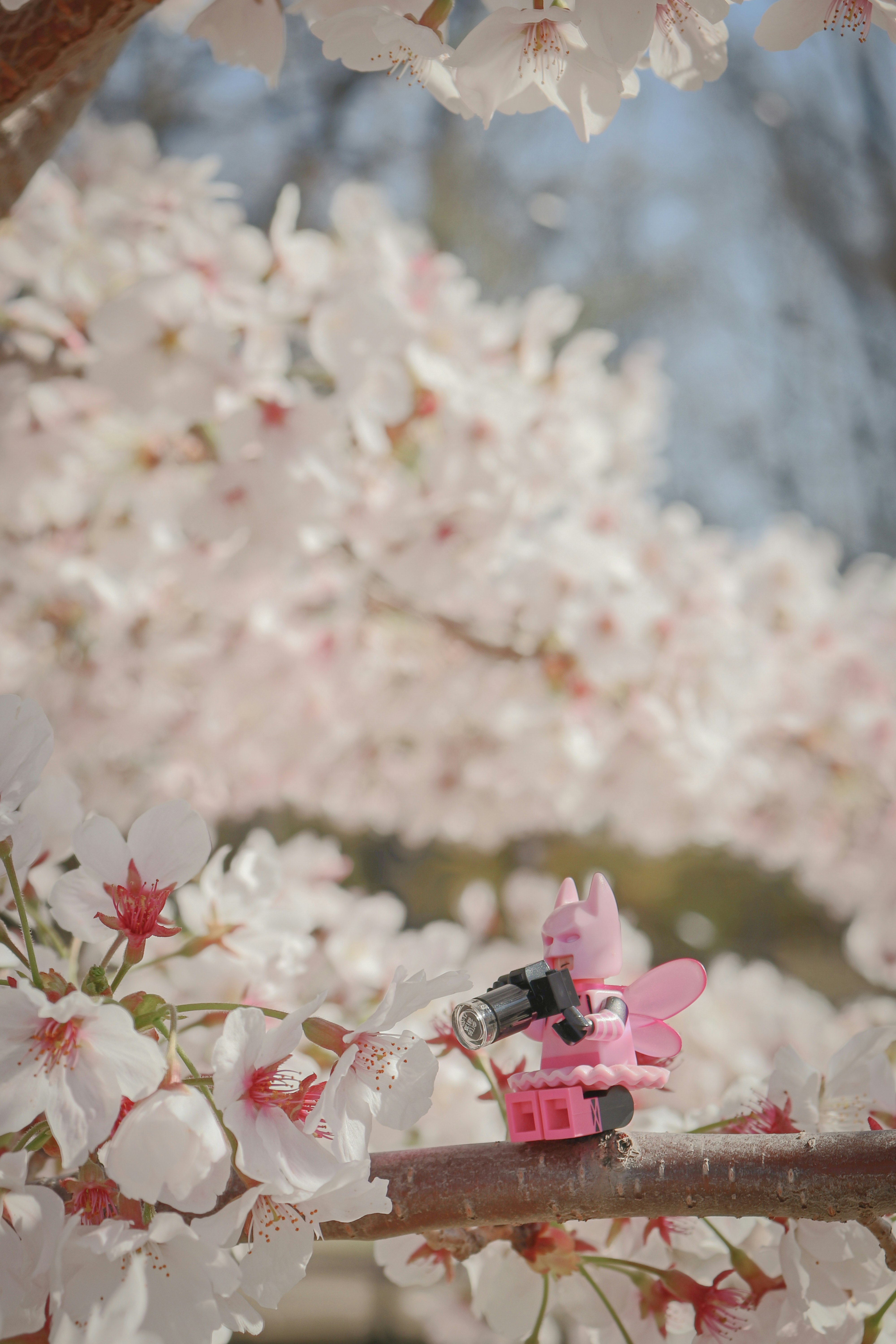 Pink LEGO Unicorn Photographer Perches on a Cherry Blossom Branch