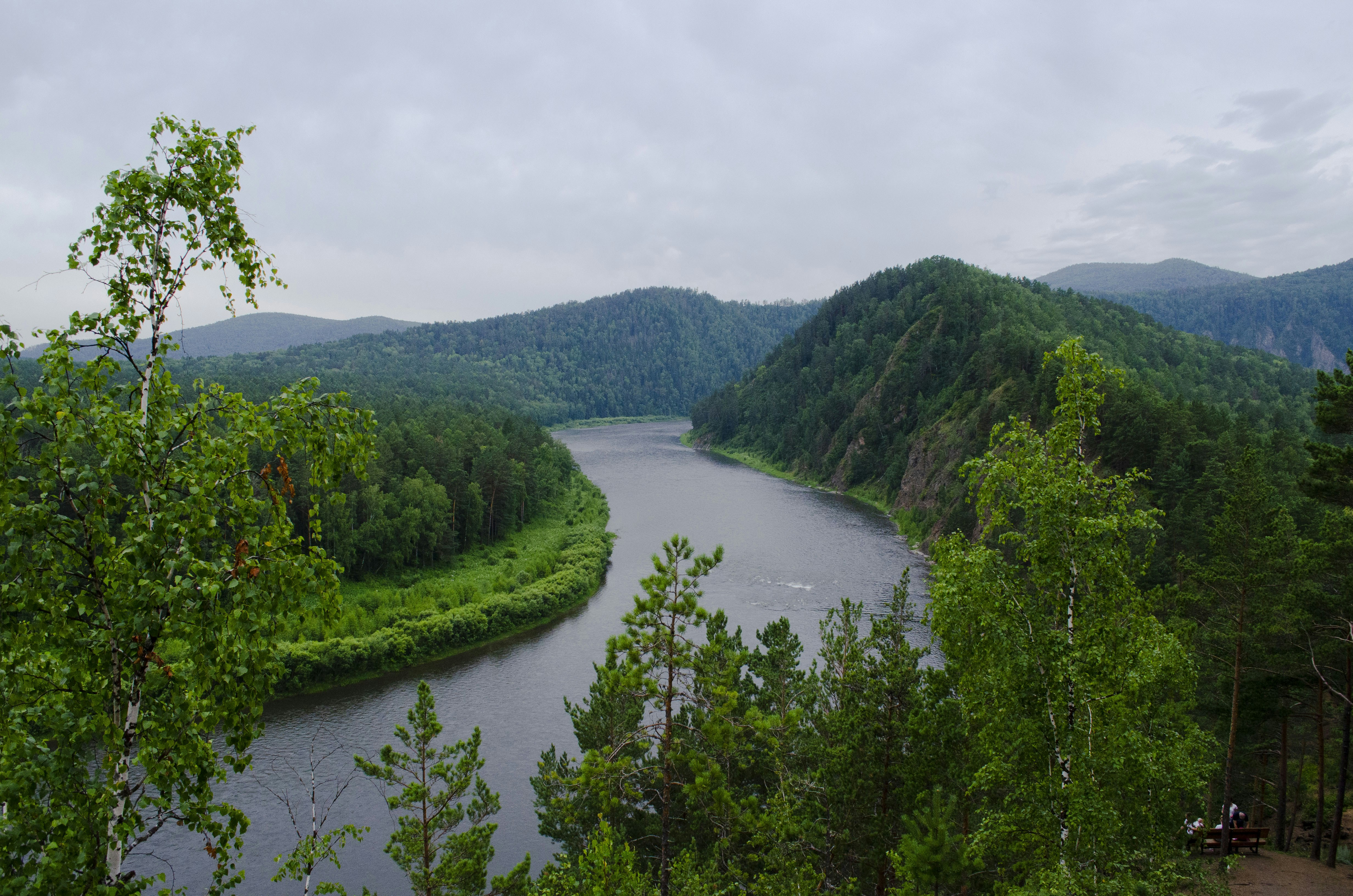 Meandering river winding through lush green forest and hills under an overcast sky.