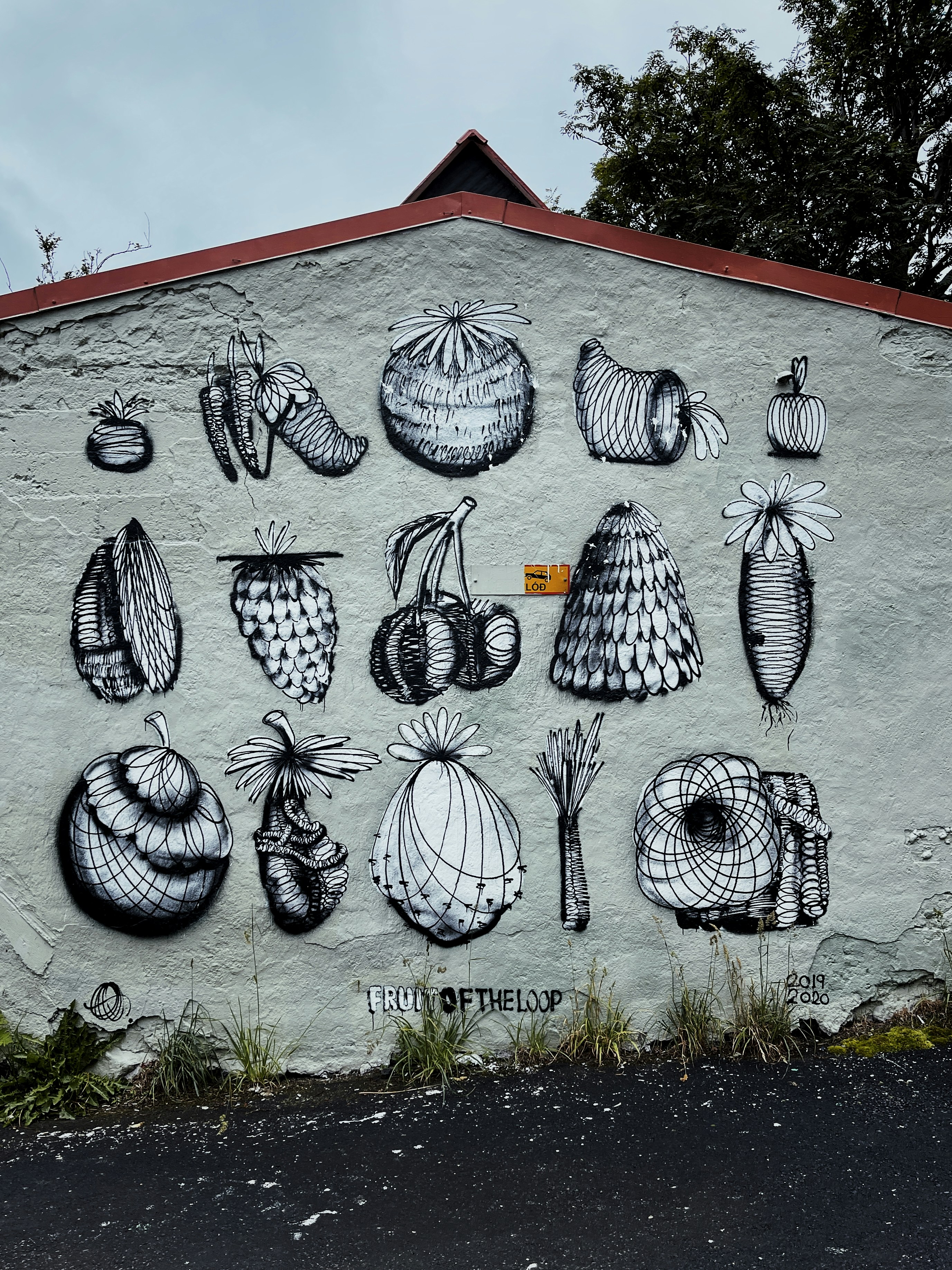 Wall of Fruits: A chalkboard garden in monochrome