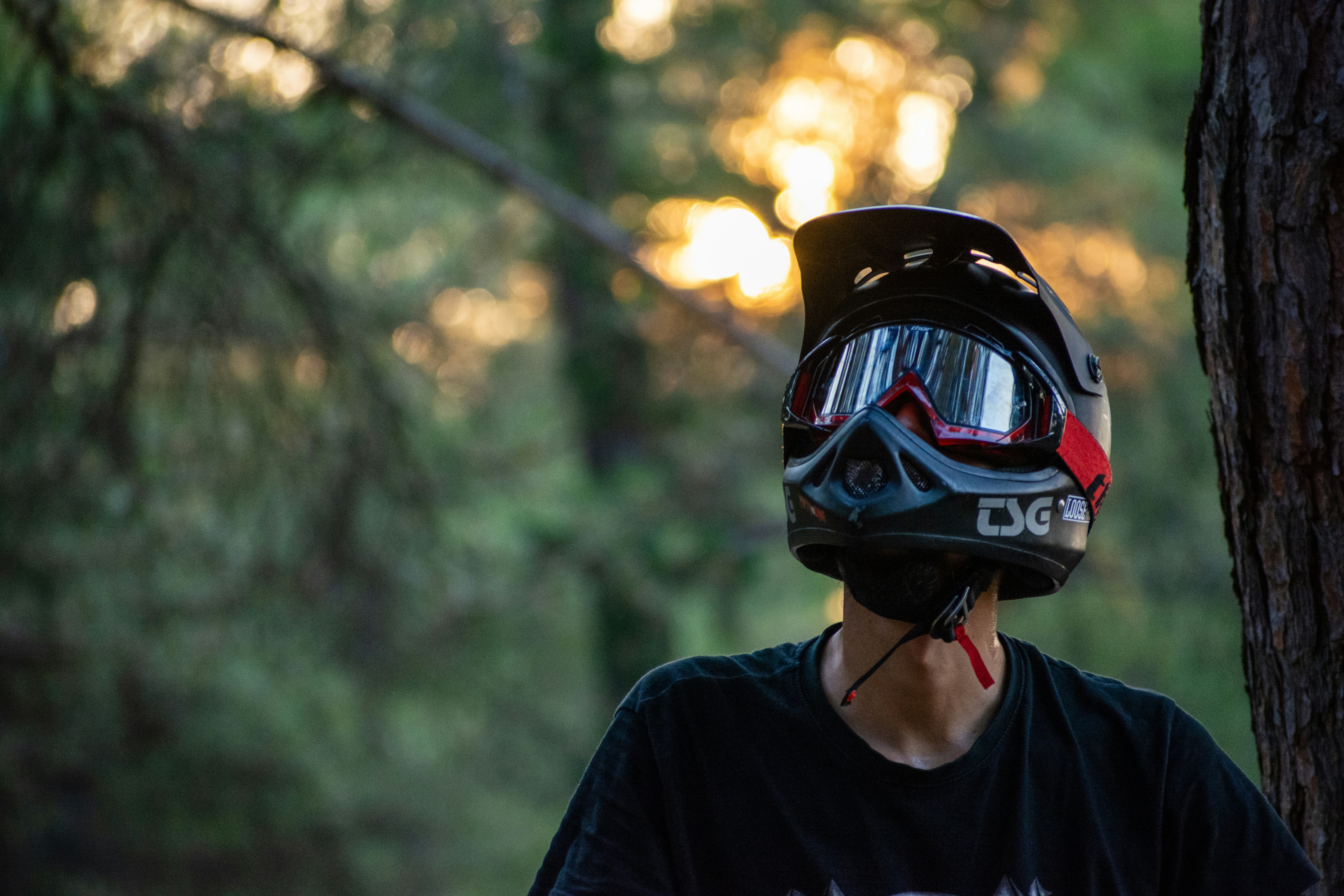 A mountain biker in a helmet gazes upwards, surrounded by lush greenery as the sun sets in the background.
