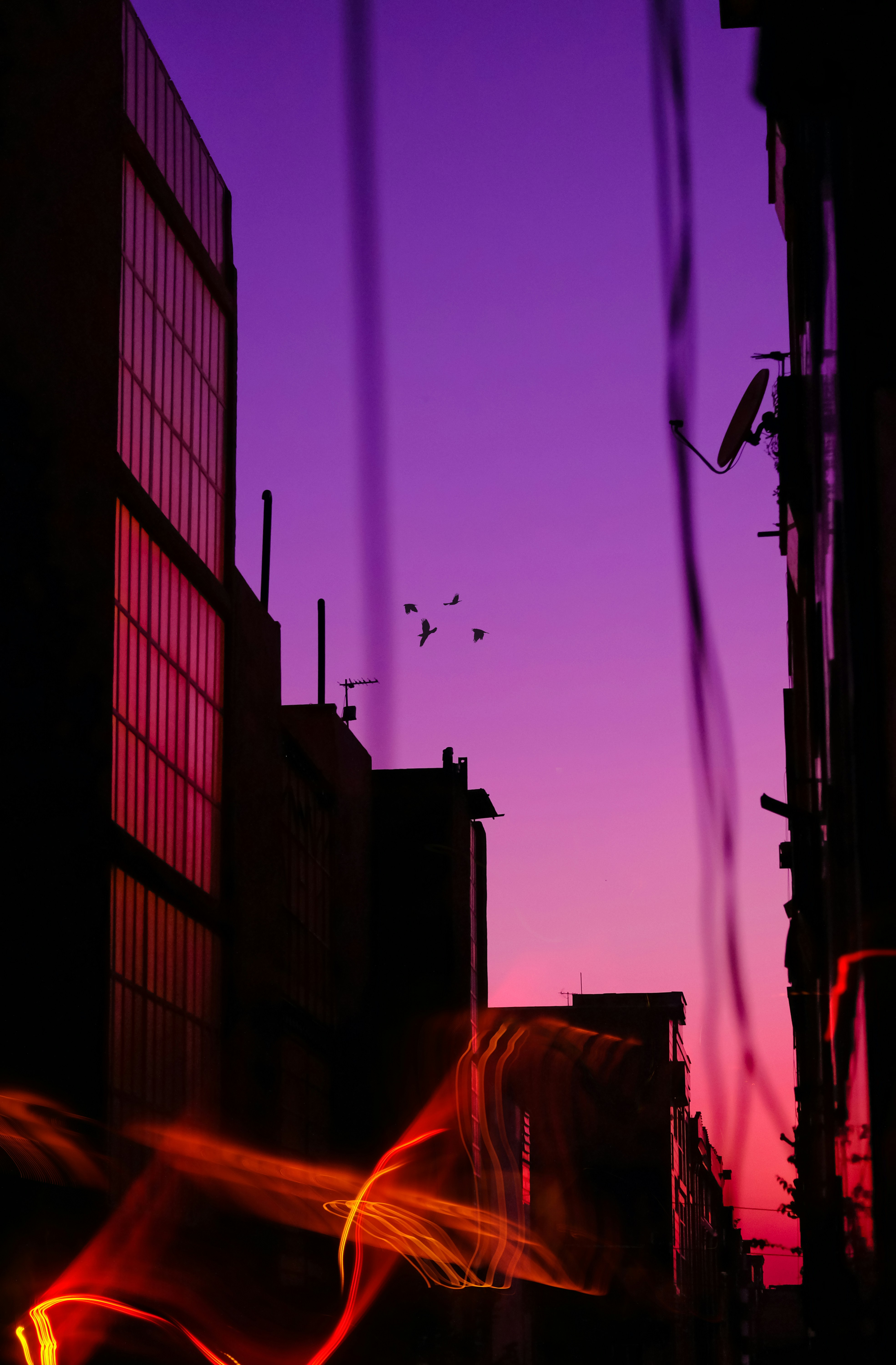 Birds Over Neon Dusk: Light Trails Weave Through a Quiet City