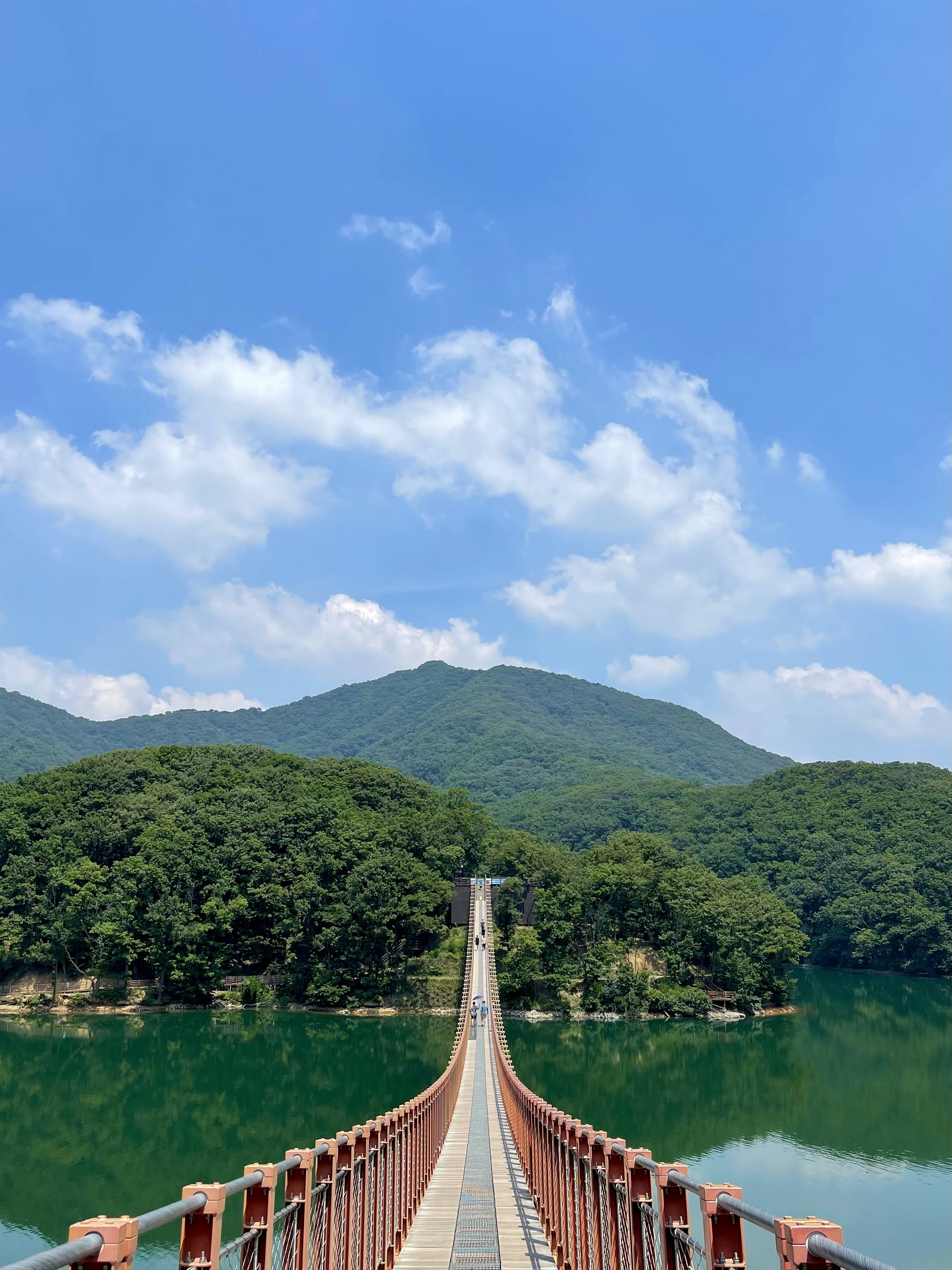 Suspension bridge stretching across a serene lake, framed by lush green mountains under a bright blue sky.
