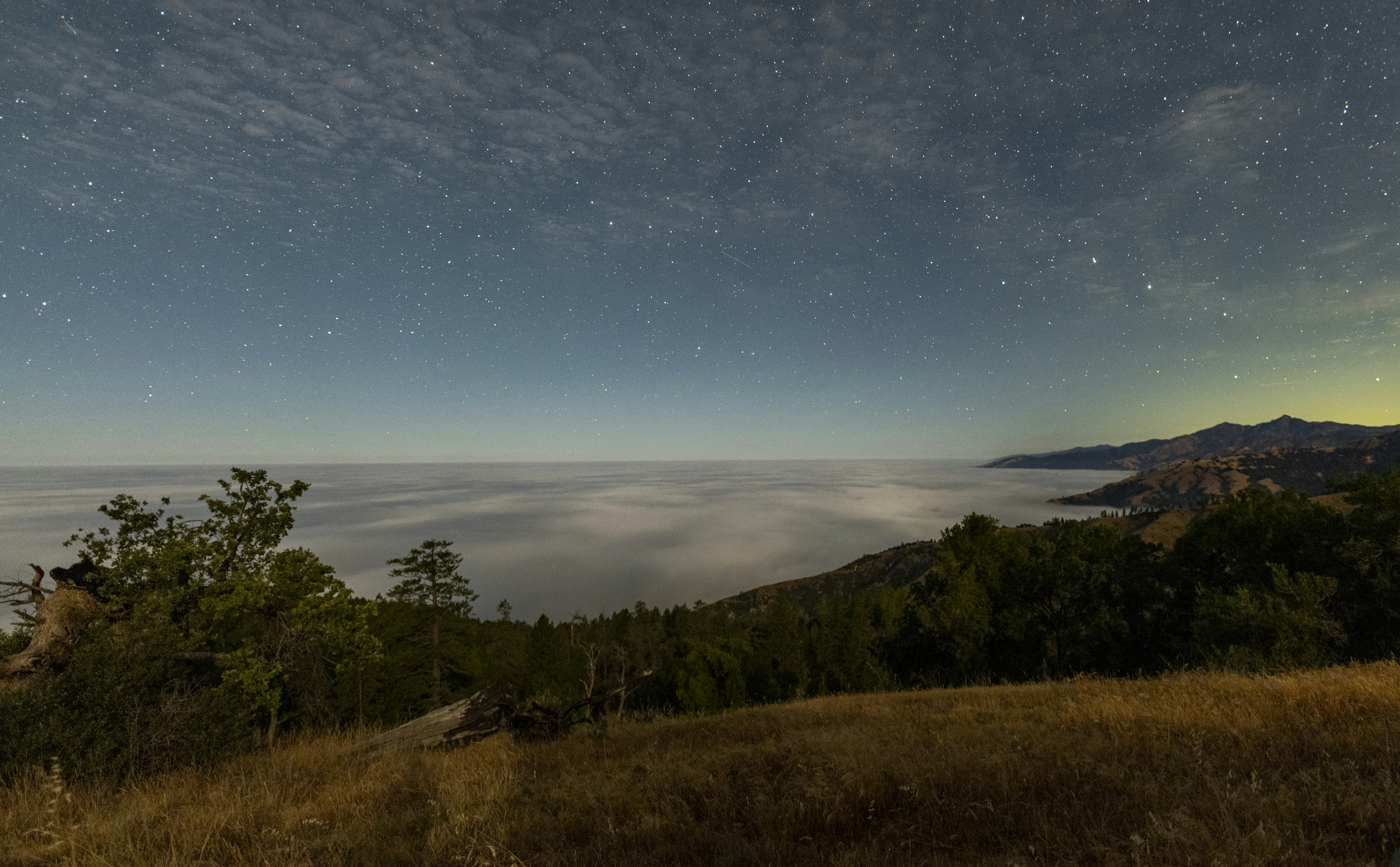 Night sky studded with stars above rolling ridge and sea of fog, with foreground grasses and trees in silhouette; landscape captures a tranquil, expansive horizon.