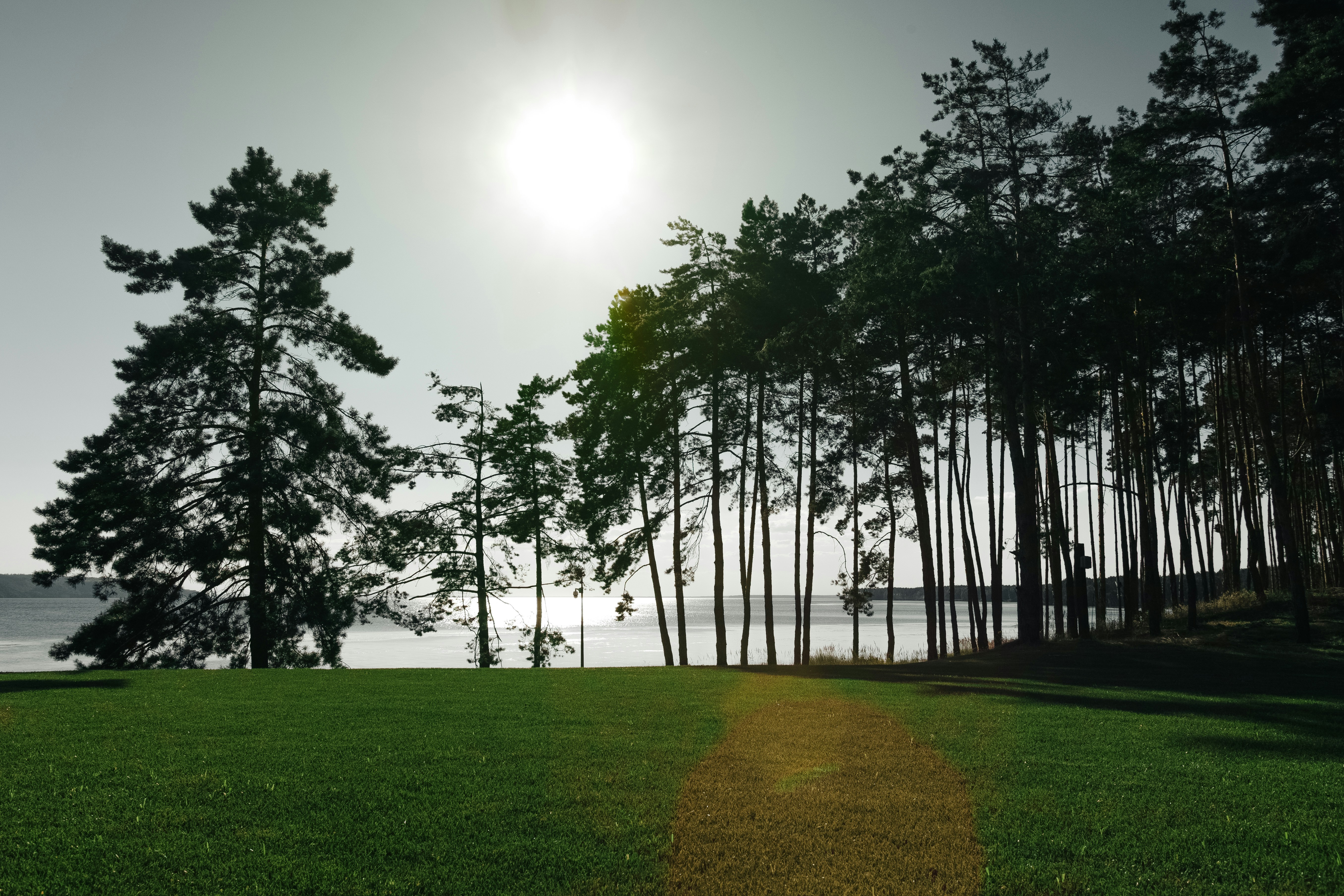 Lush green lawn leading to a tranquil lakeside, framed by tall trees under a bright sun.