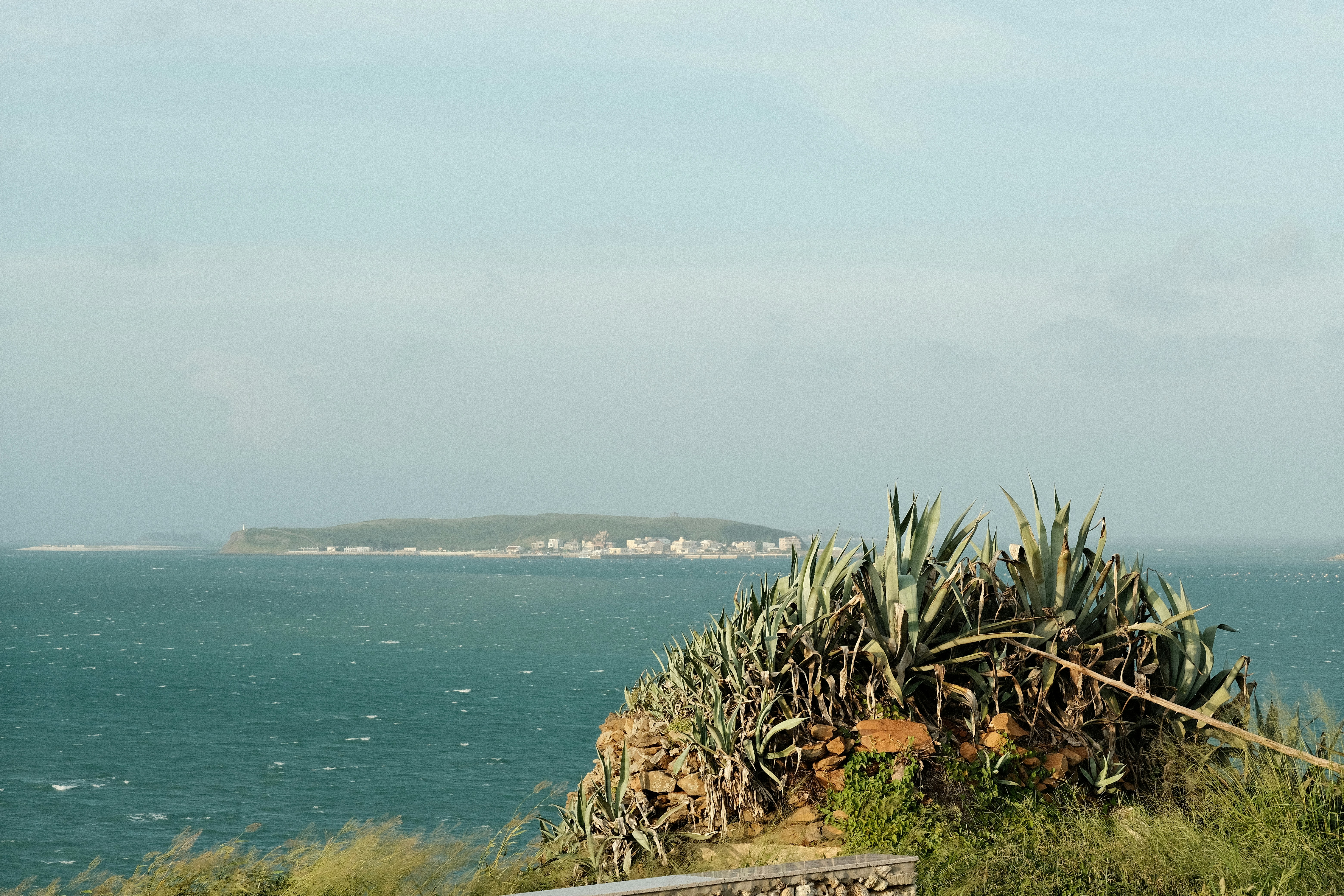 Lush coastal vegetation frames a distant island under a clear sky, capturing the tranquility of the seascape. The vibrant hues of the ocean contrast with the earthy tones of the foreground.