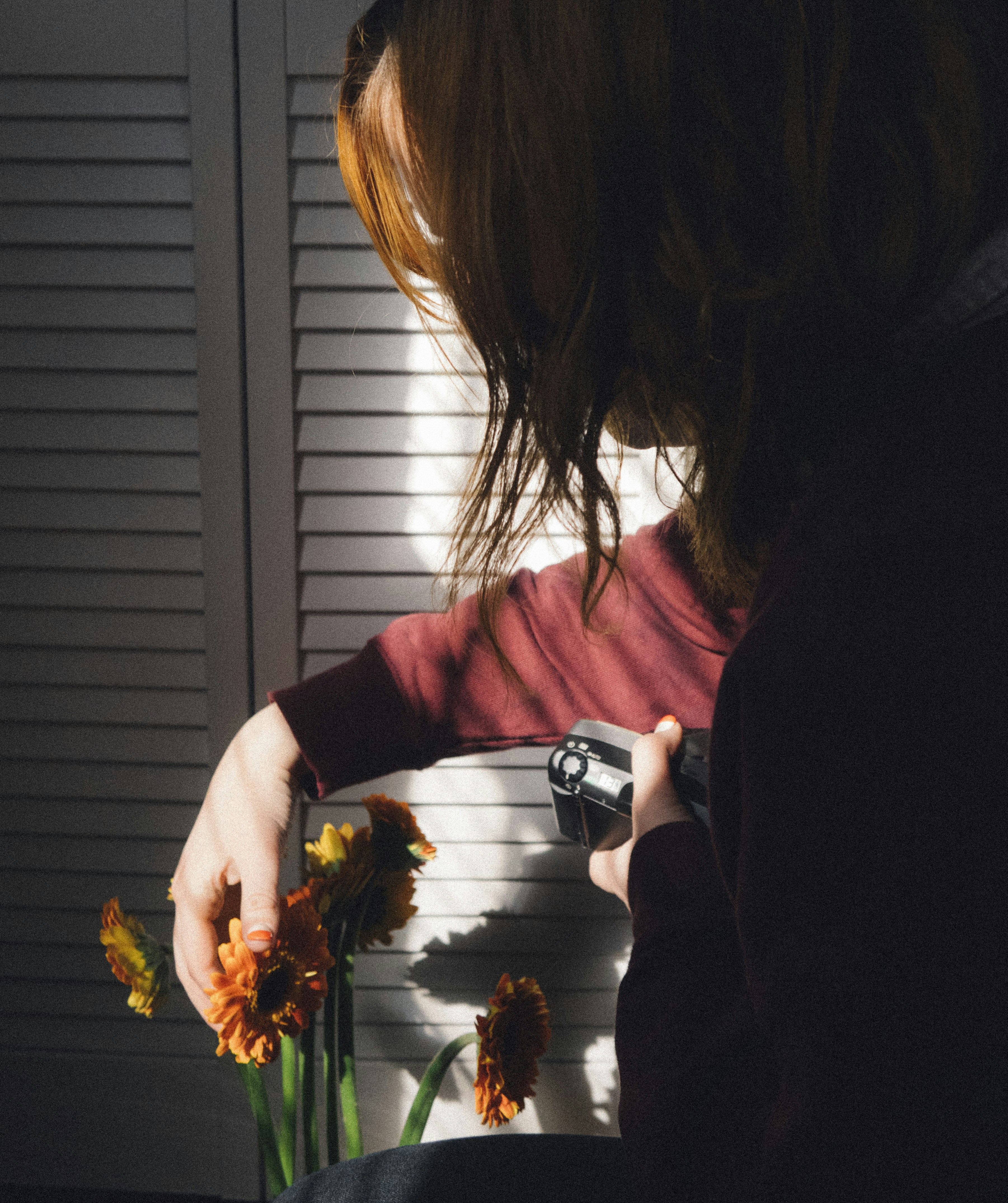 Sunlit Bloom: A Quiet Moment with a Camera and Flowers