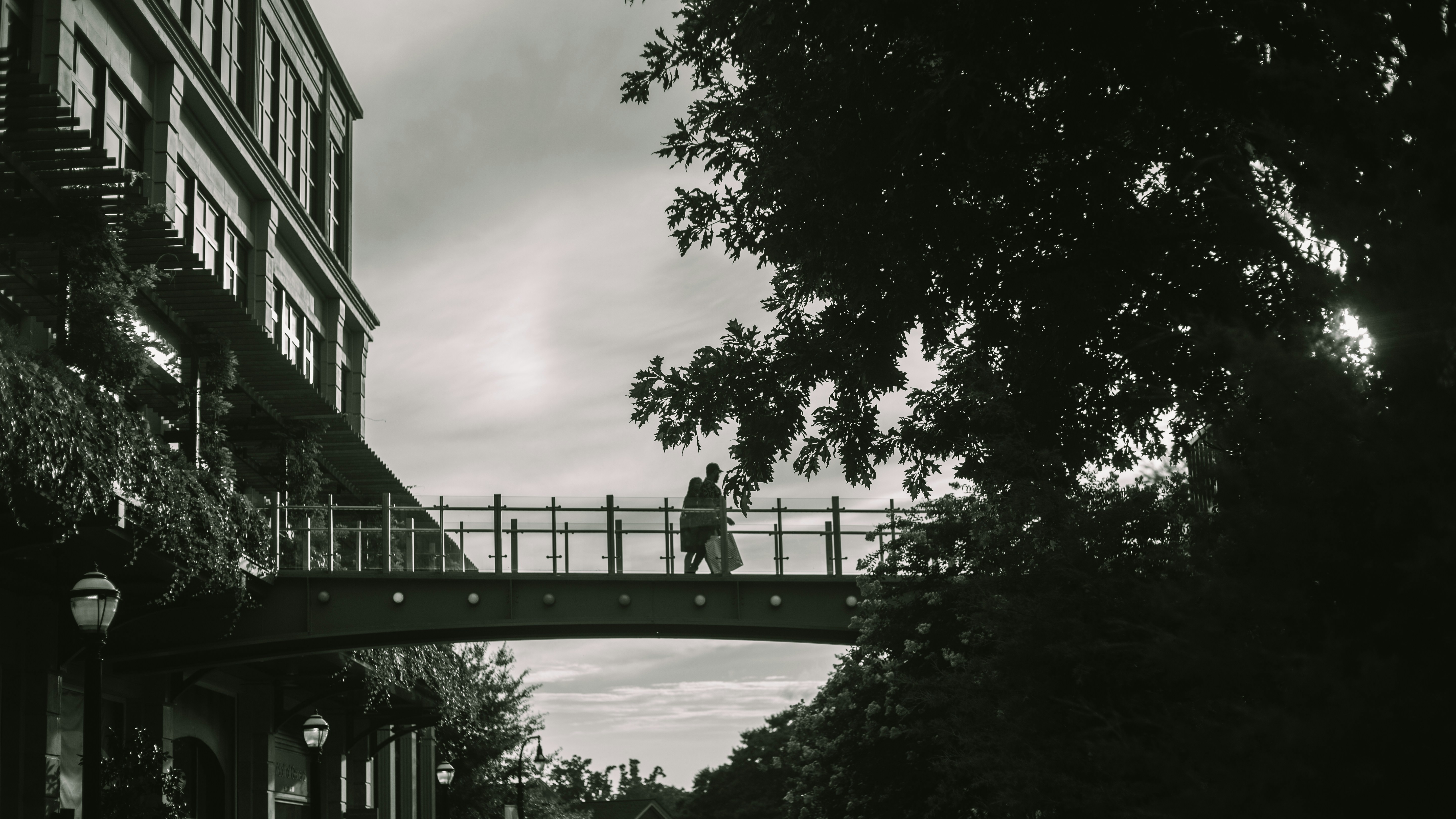 Two Figures on a Bridge: Quiet Moment Above the City
