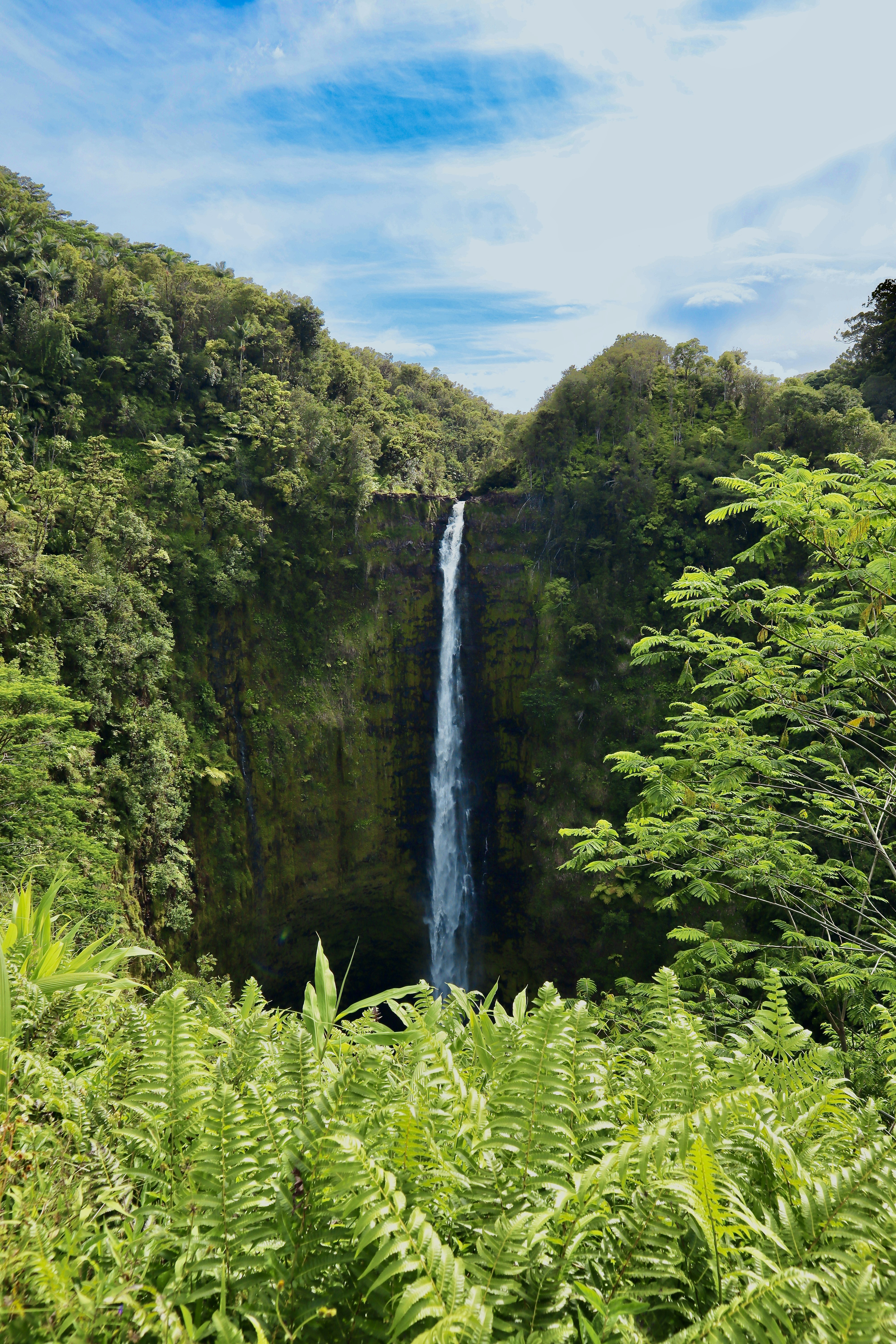A majestic waterfall cascades down a lush green cliff, surrounded by dense tropical foliage and vibrant ferns.