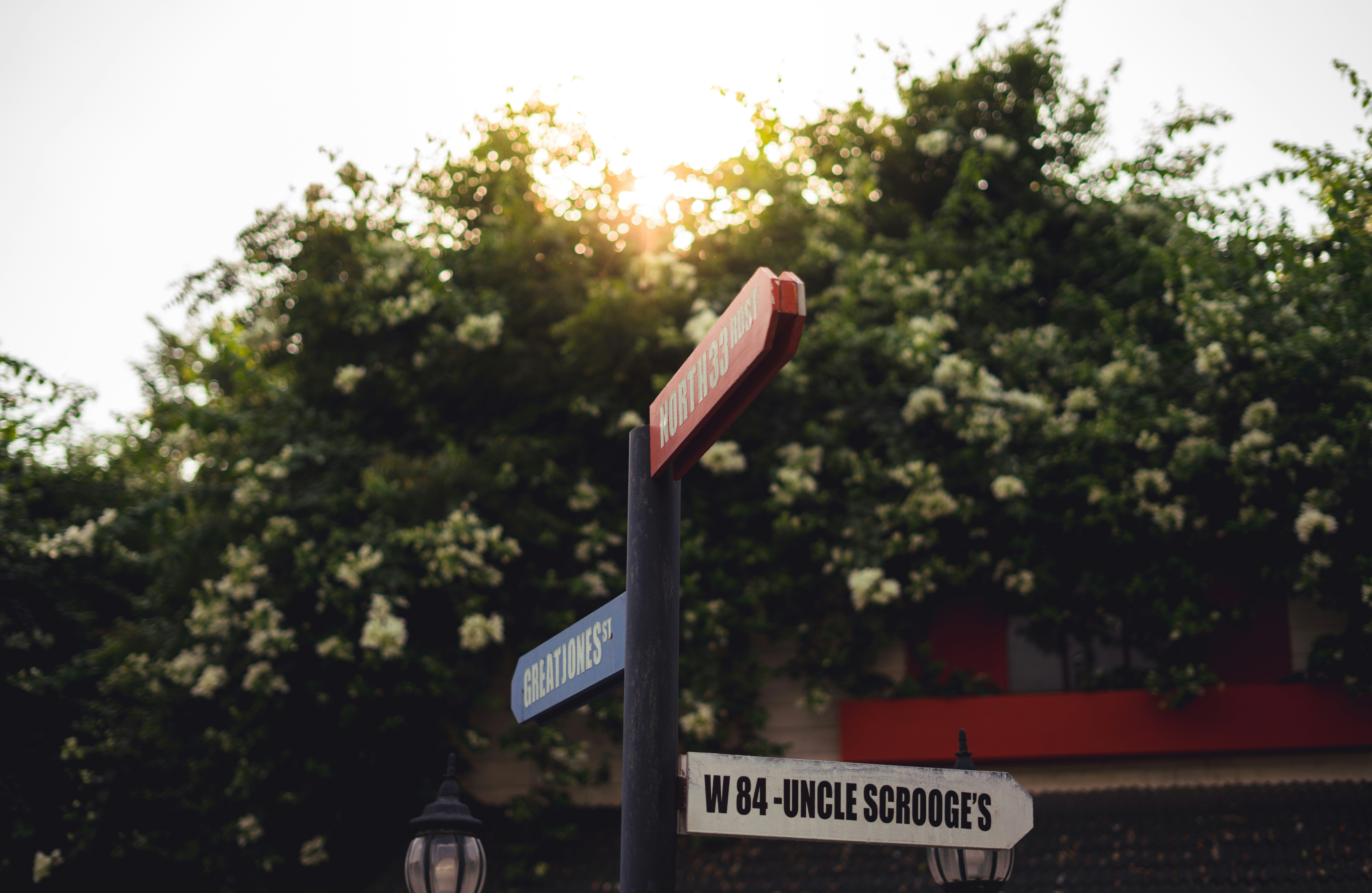 Sunlit Crossroads: A Vintage Signpost Pointing Toward Uncle Scrooge’s