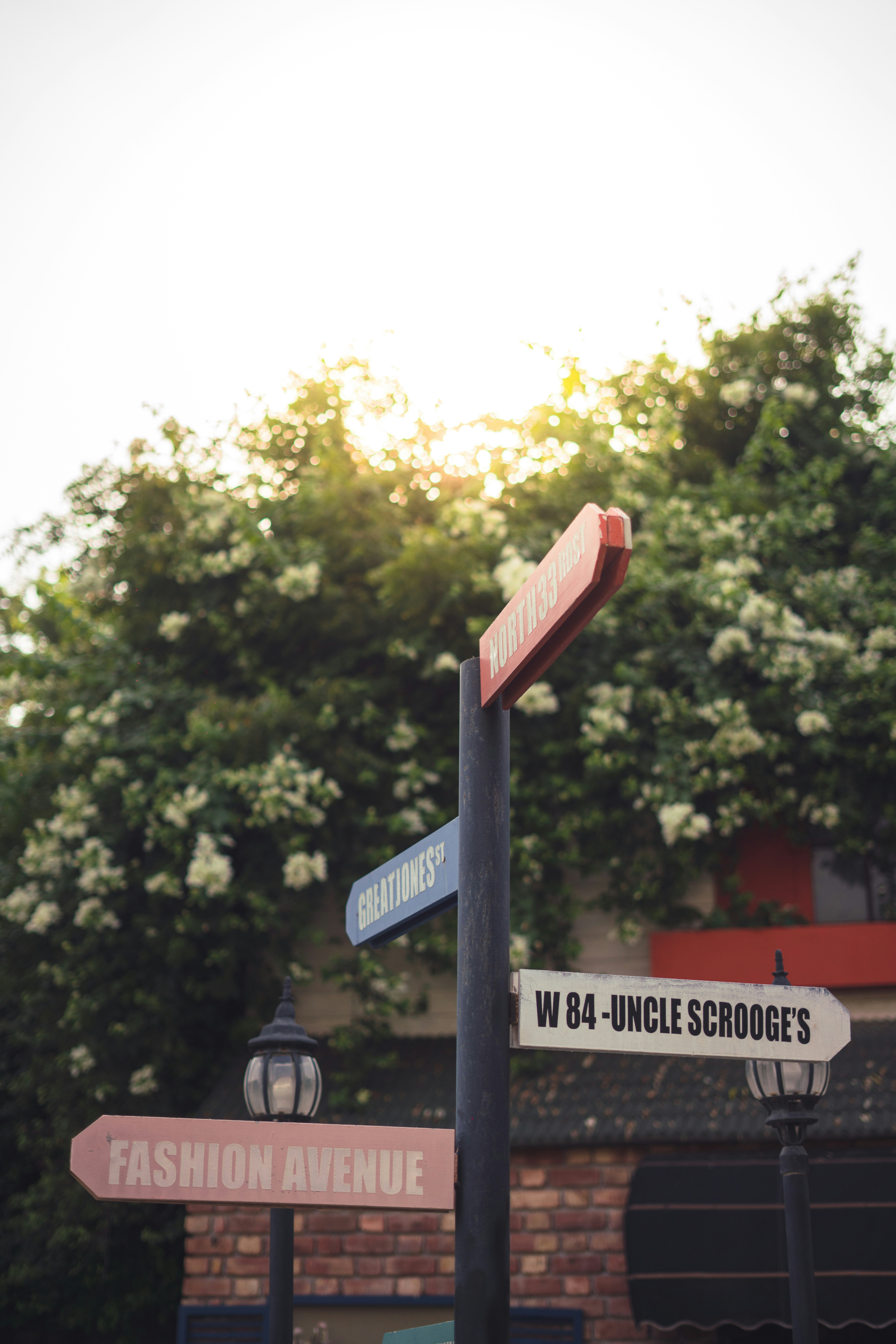 red and white street sign
