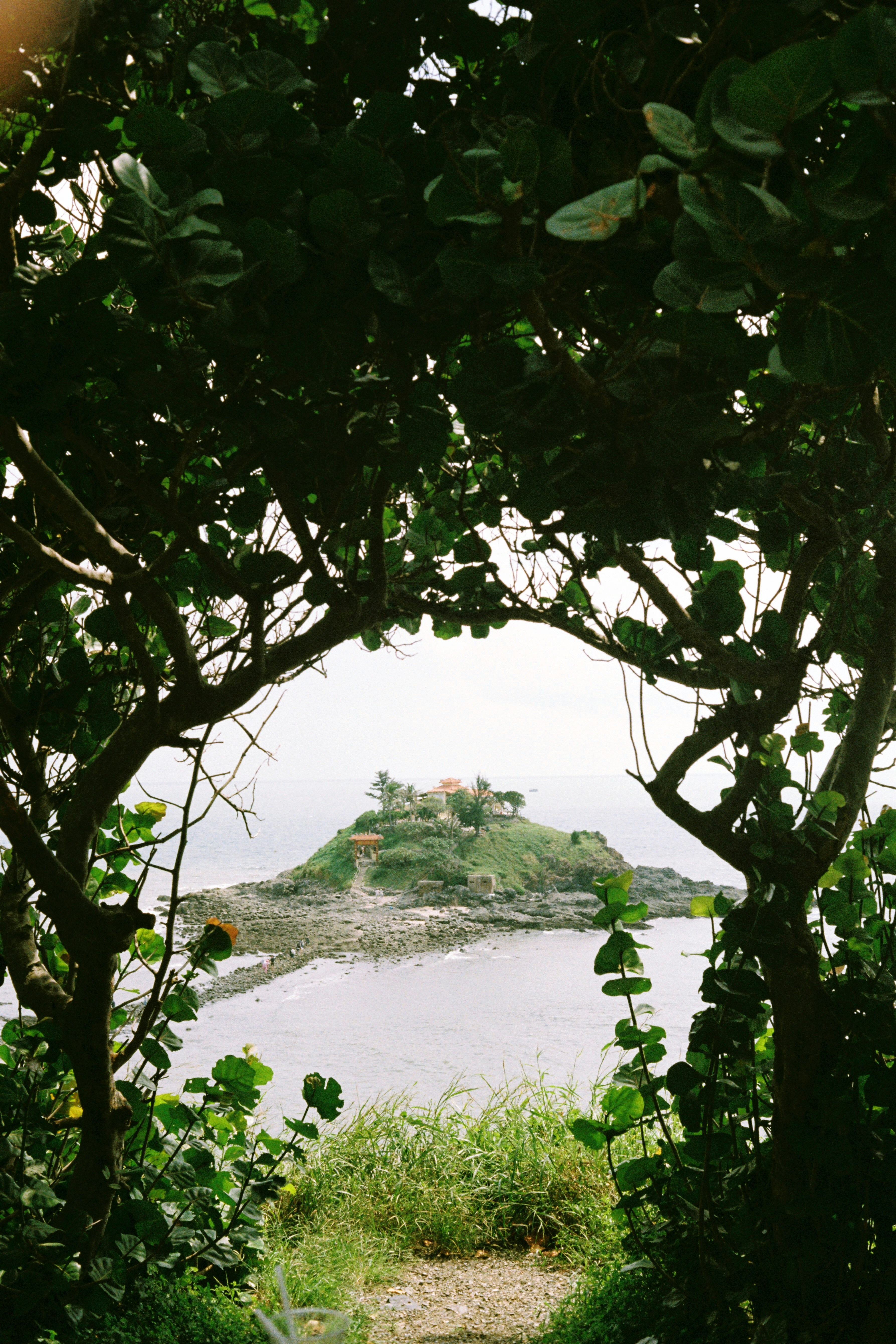 Hidden Archipelago Gaze: A Green-Framed View toward a Lone Islet