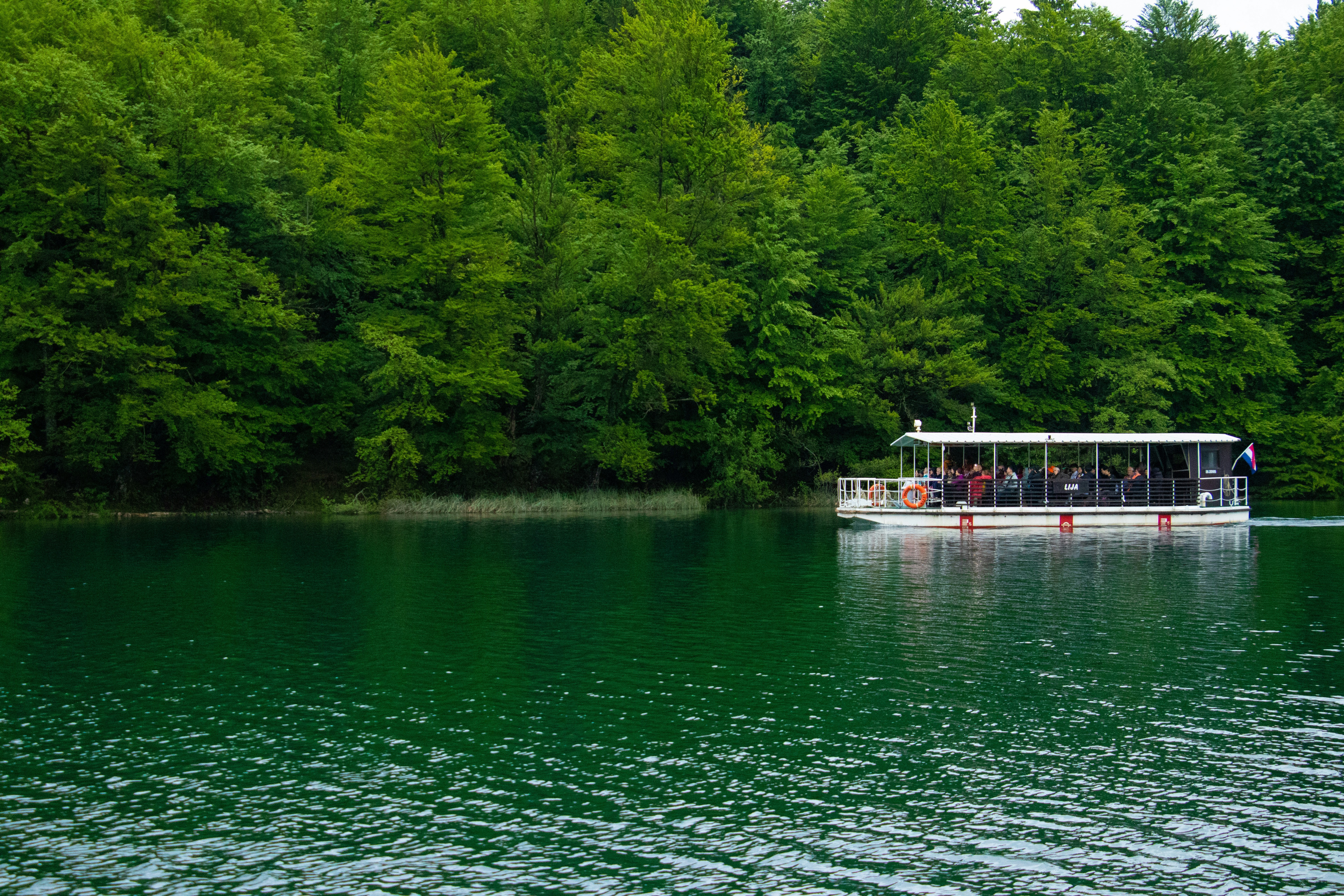 Tour boat gliding across a serene, green lake surrounded by lush forest.
