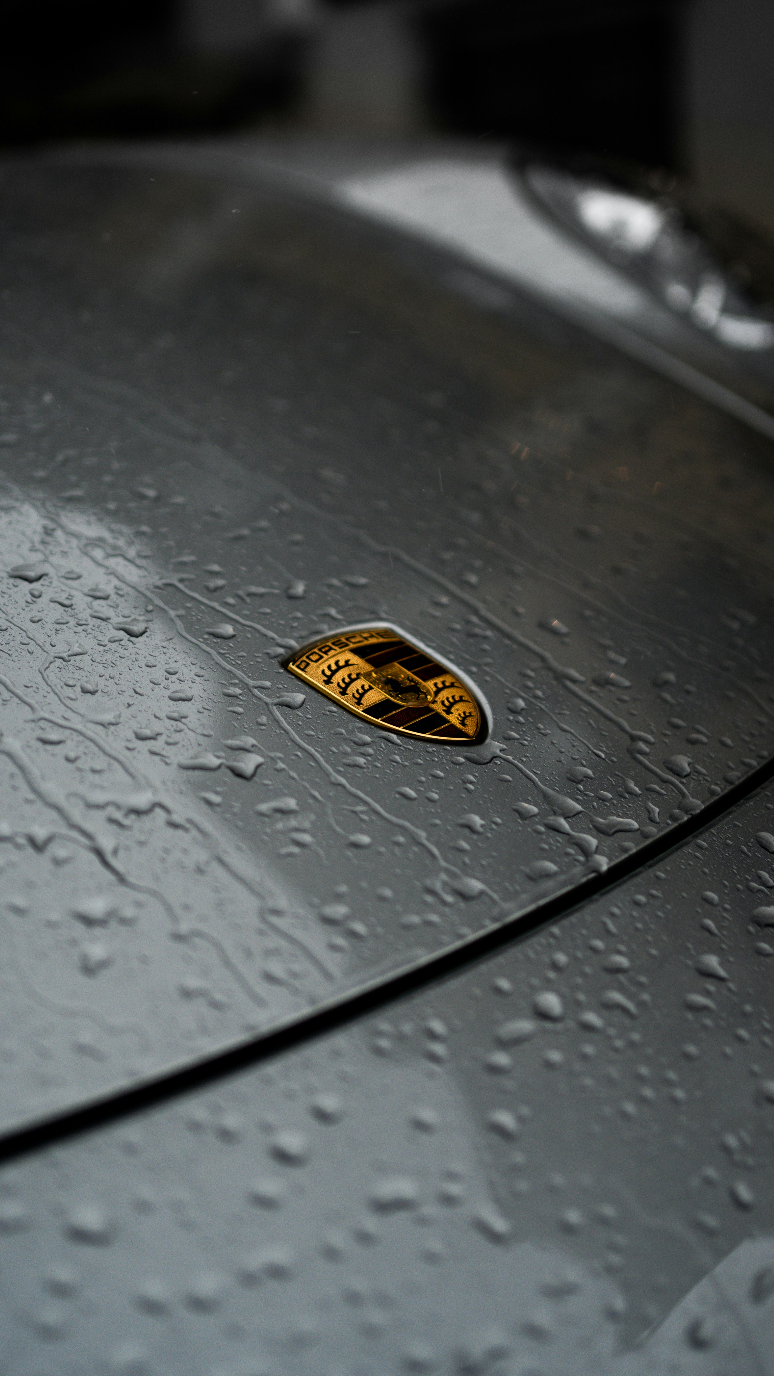 Gilded Crest on a Rain-Kissed Porsche Hood