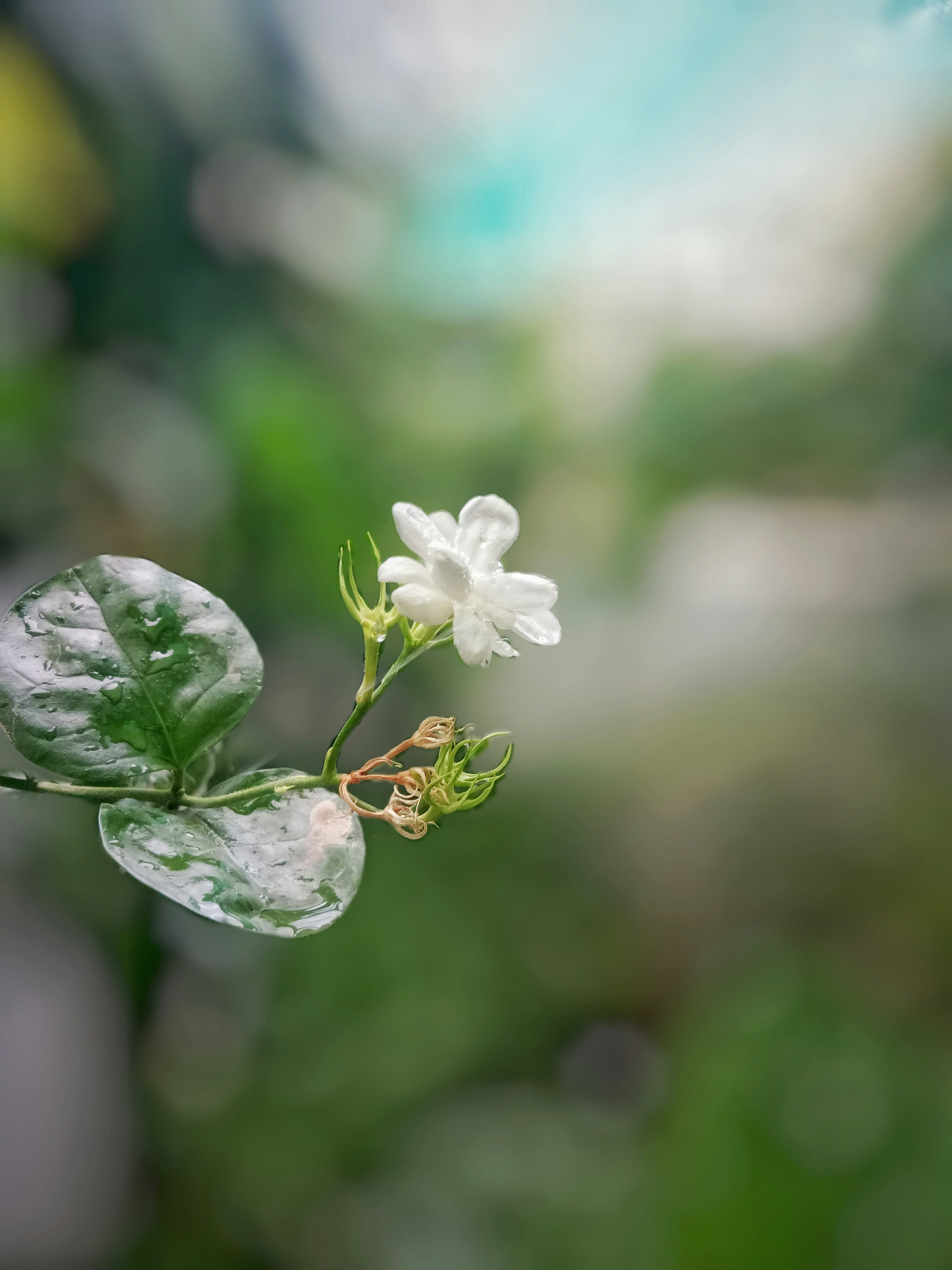 lakshya kumawat (@photography5) | Communauté photos Unsplash