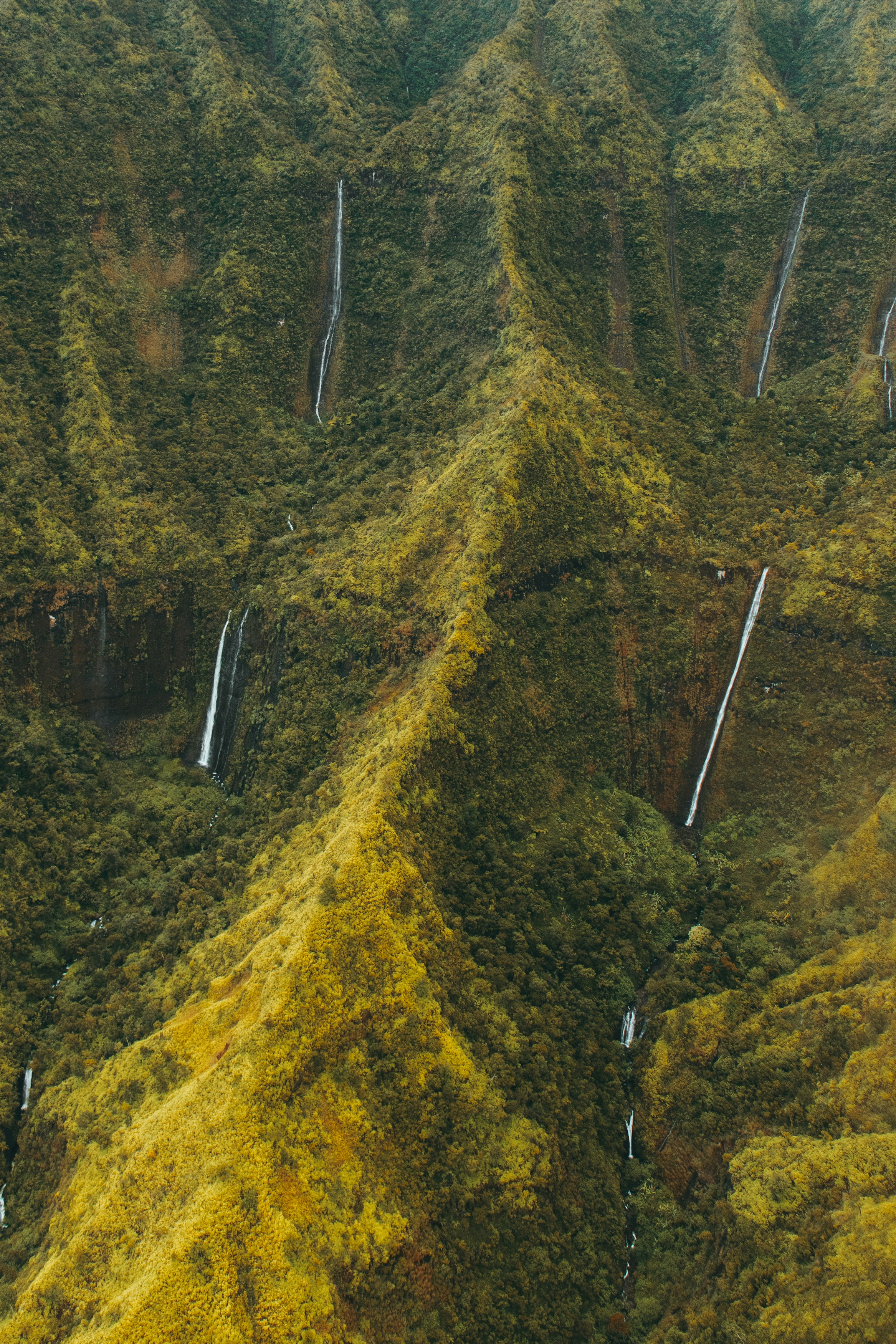 Emerald Valleys: Cascades Weaving Through Golden Cliffs