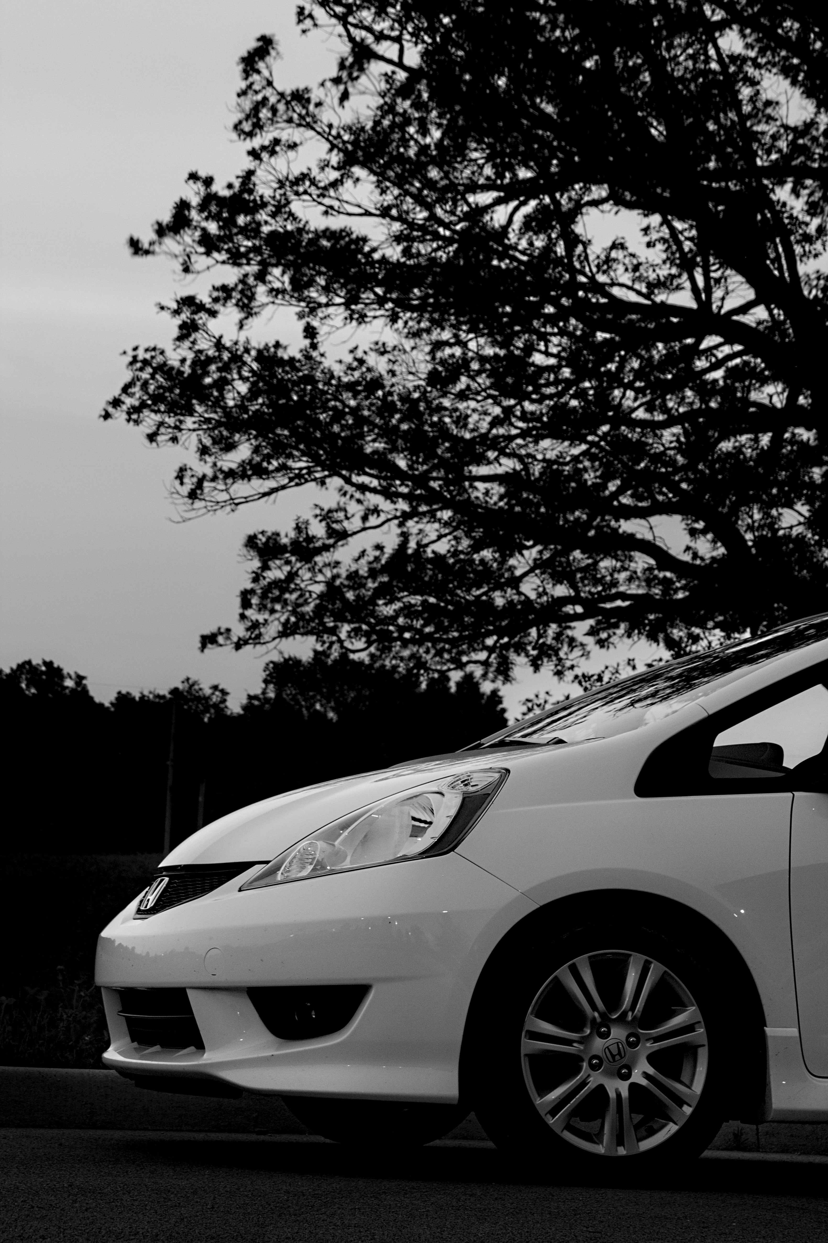 grayscale photo of car near trees