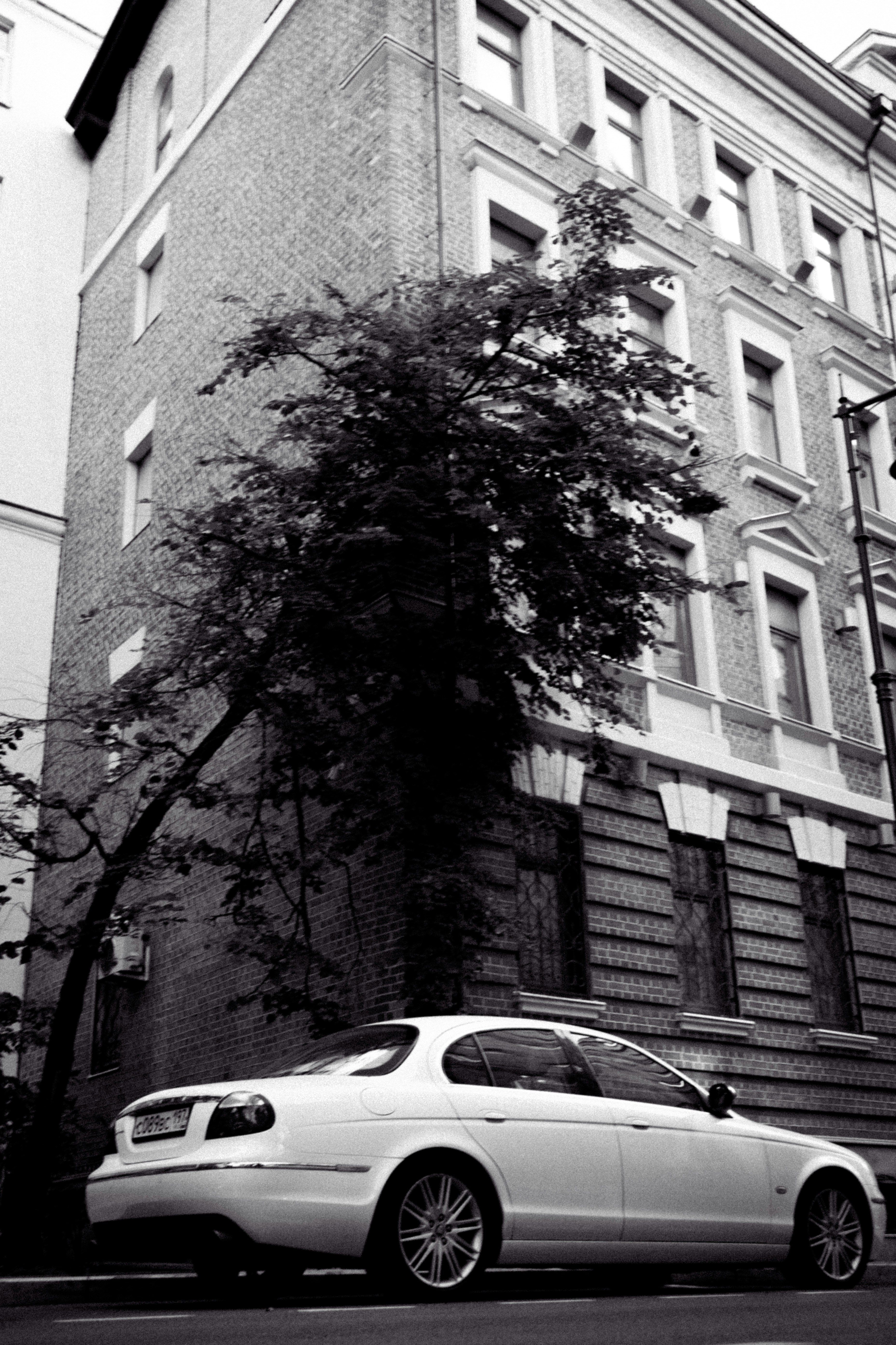 Urban Stillness: White Sedan Nestled Between Brick Facade and a Leaning Tree