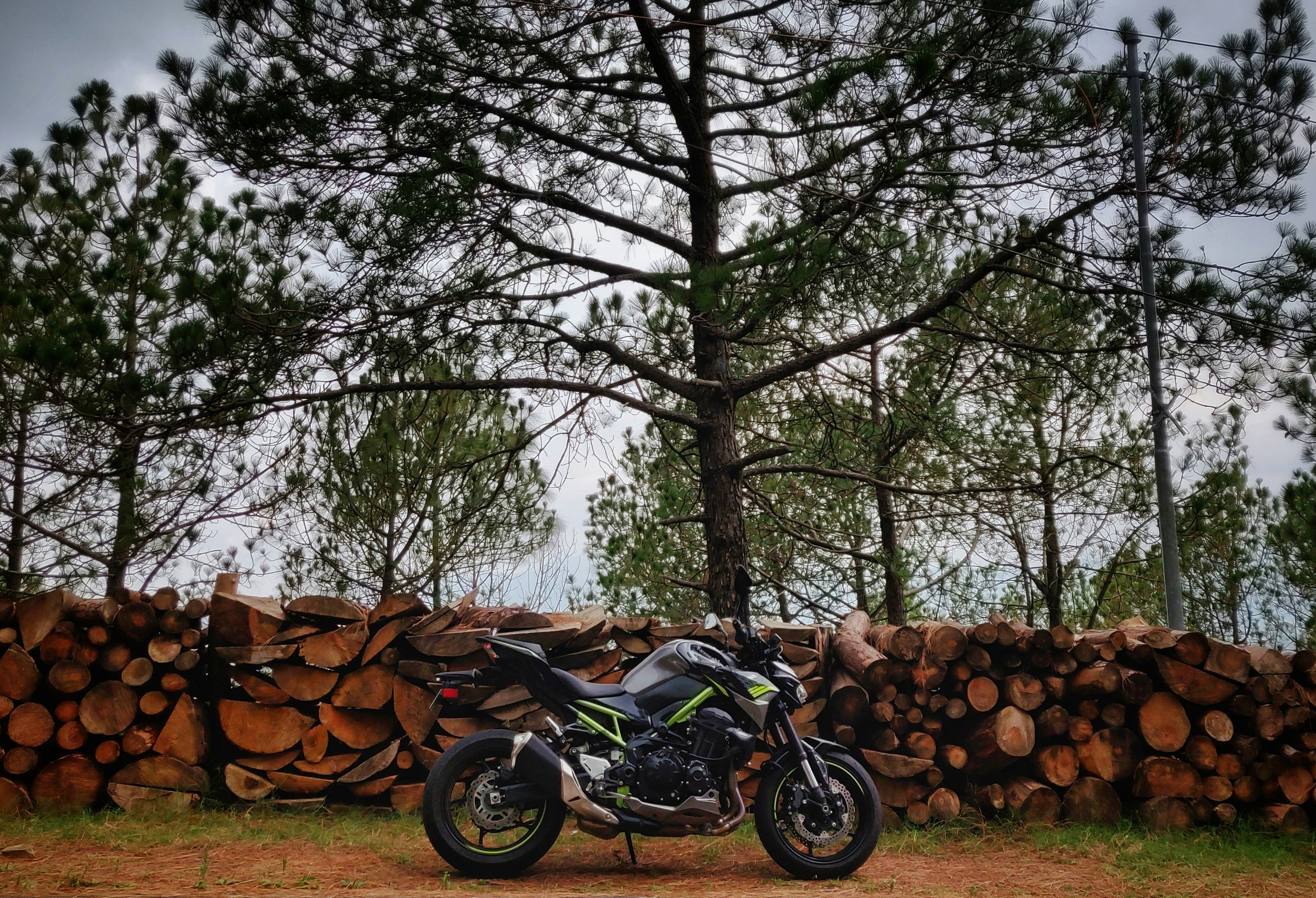 Black motorcycle parked beside tree logs photo – Free Motorcycle Image ...