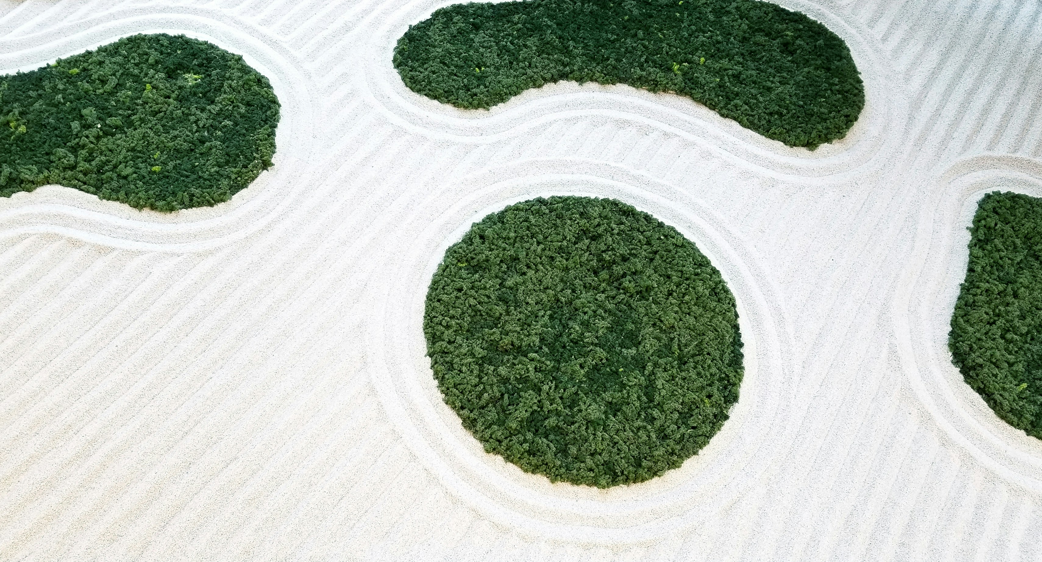 Circular green clusters rise from pale sand, creating concentric ripples around each island; the composition emphasizes texture and negative space with a minimal, almost abstract shoreline.