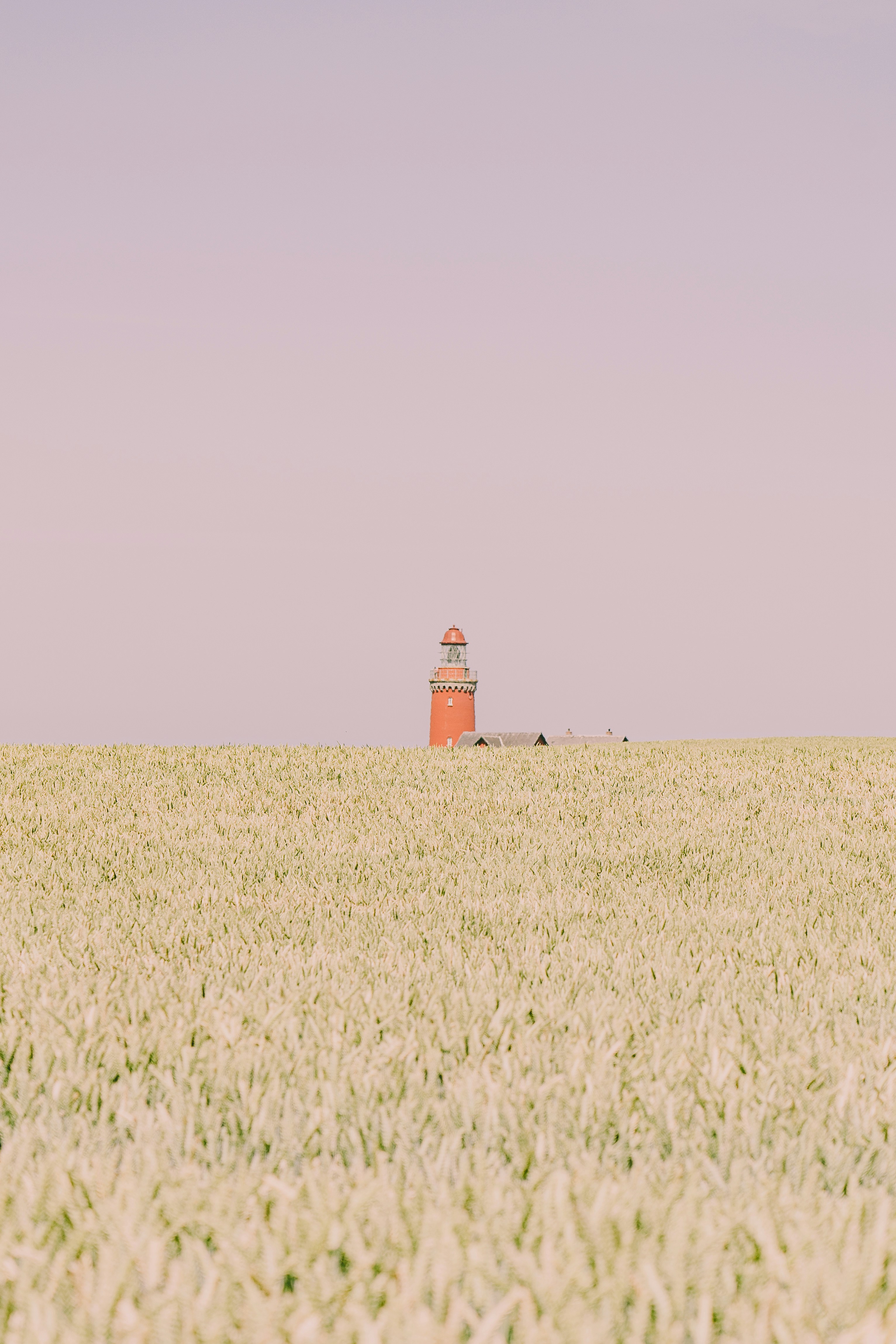 Red Lighthouse on a Wheat-Field Horizon Beneath a Blush Sky