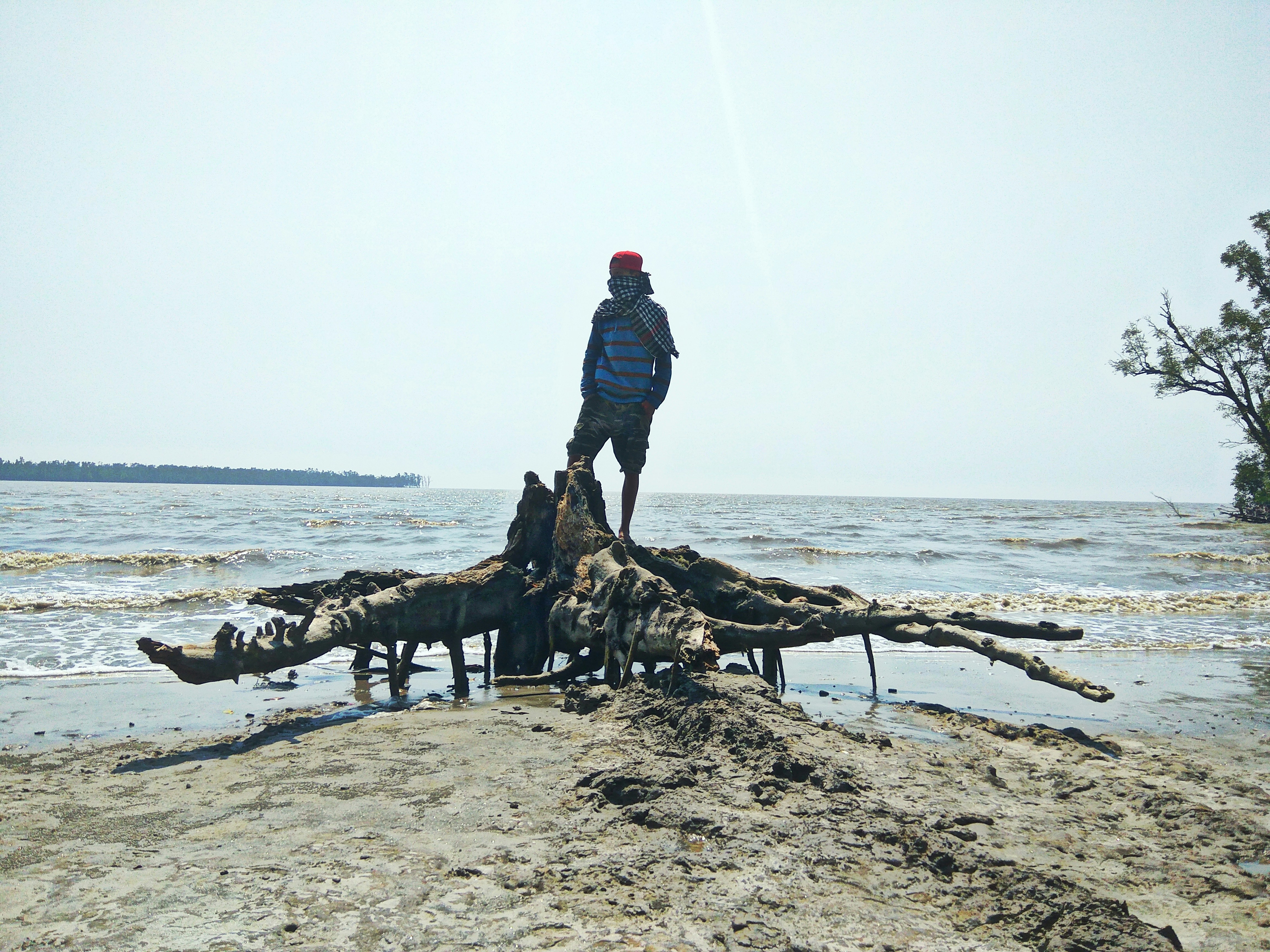 A lone figure in a blue jacket and red hat stands atop weathered driftwood at the lake's edge, with waves washing ashore under a pale sky.