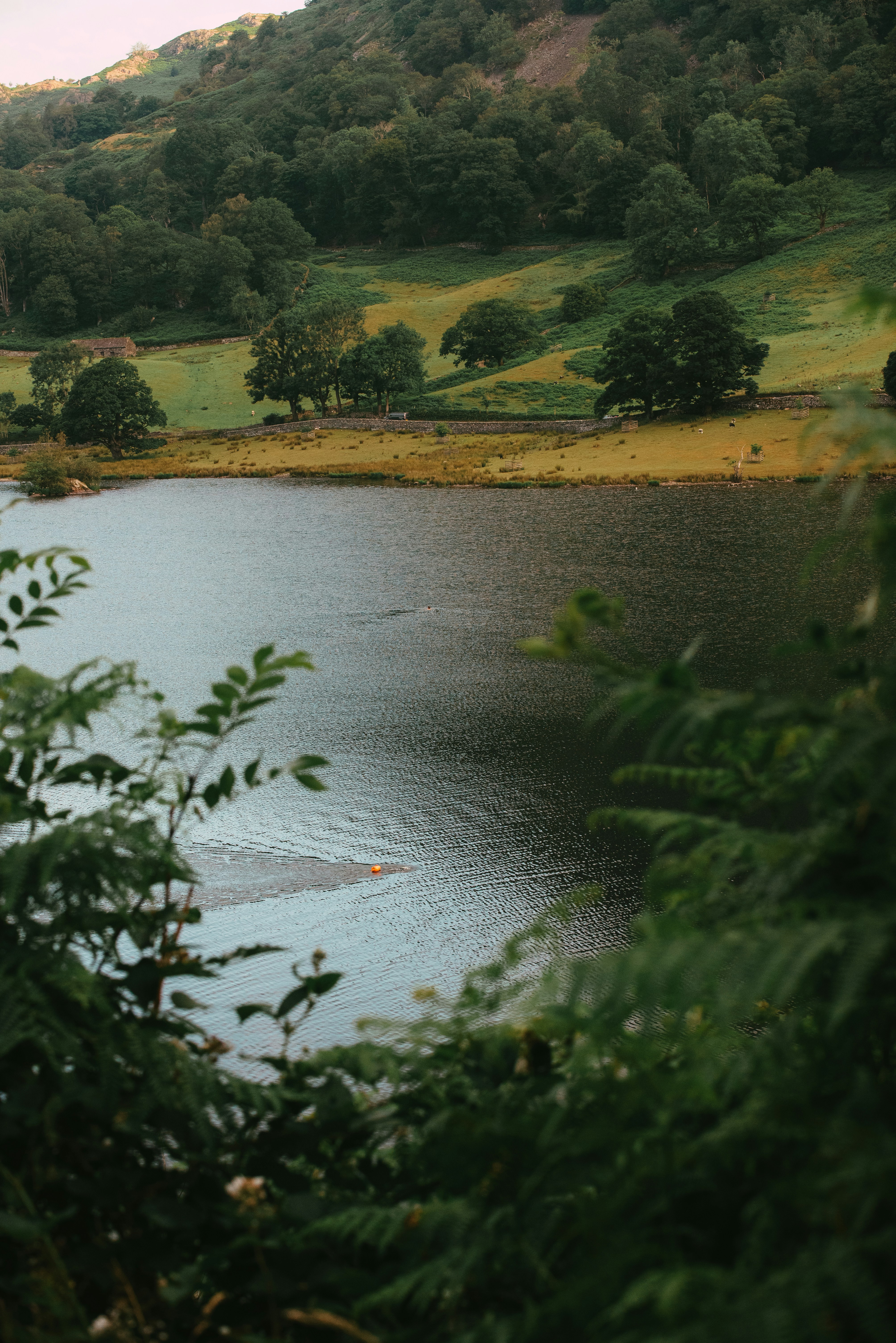 Green trees beside river during daytime photo – Free Rydal water Image ...