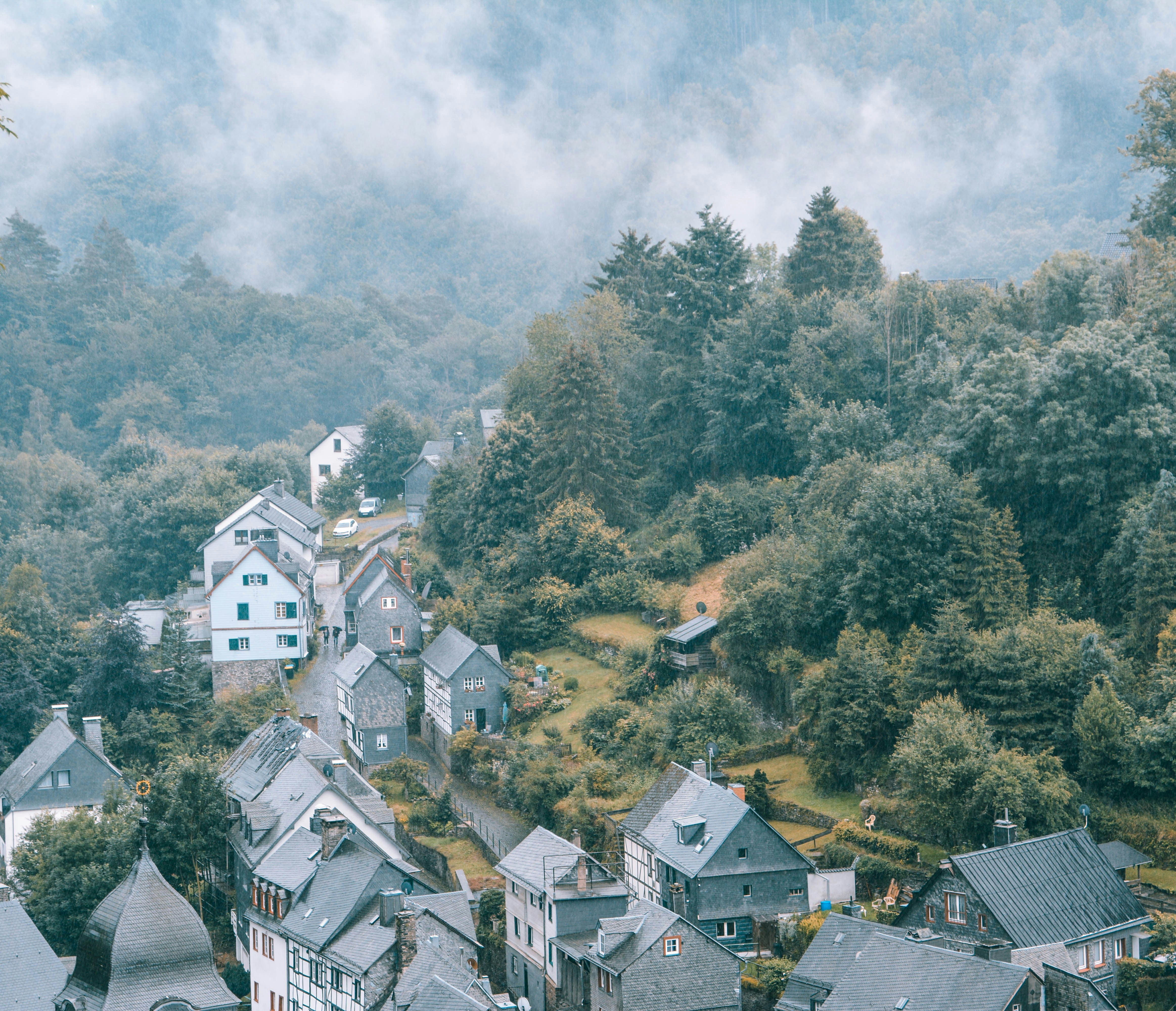 Serene Village Nestled in Misty HillsArina Bondar
