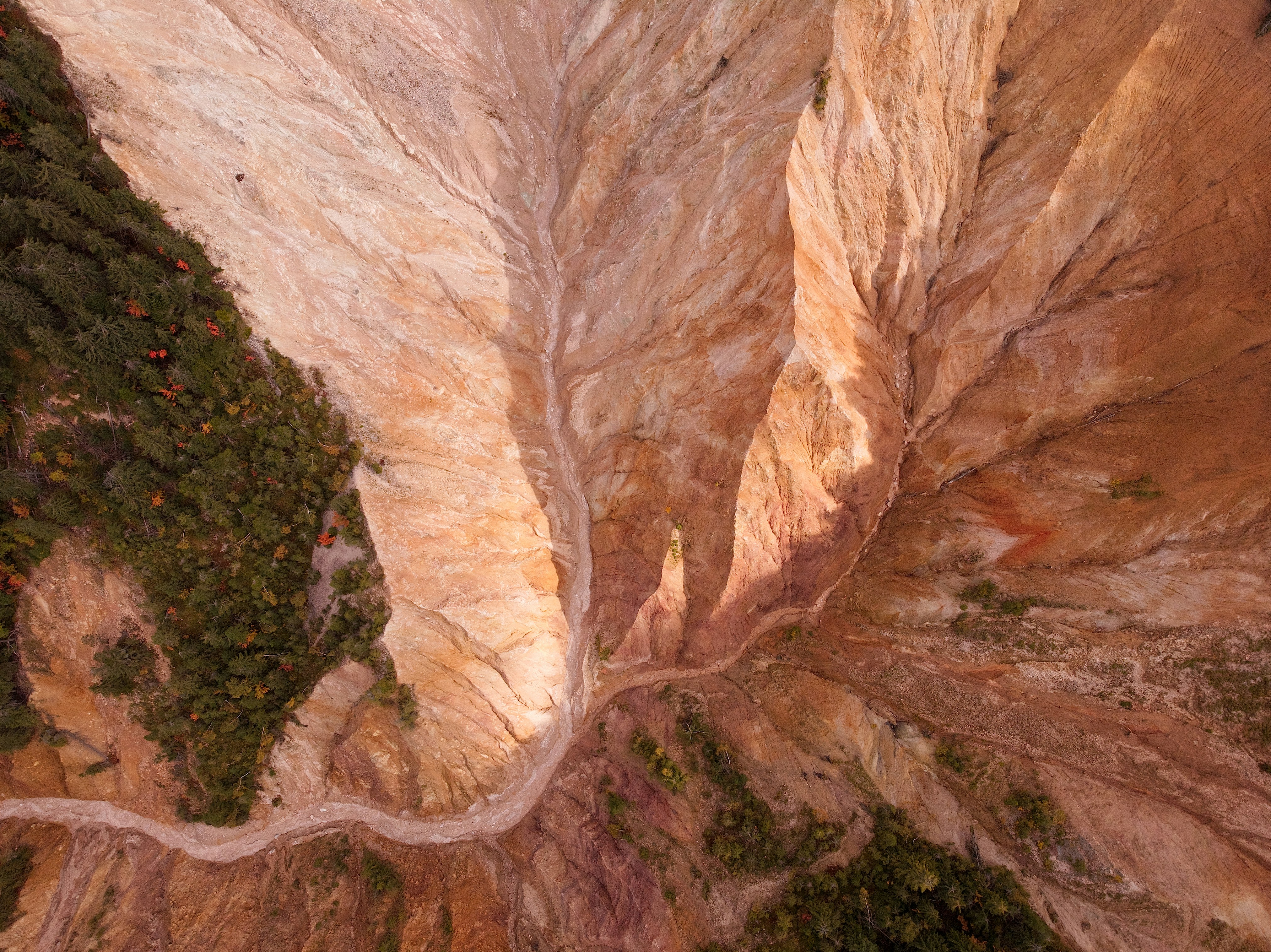 Cavity vs. Core - What's the Difference? | This vs. That