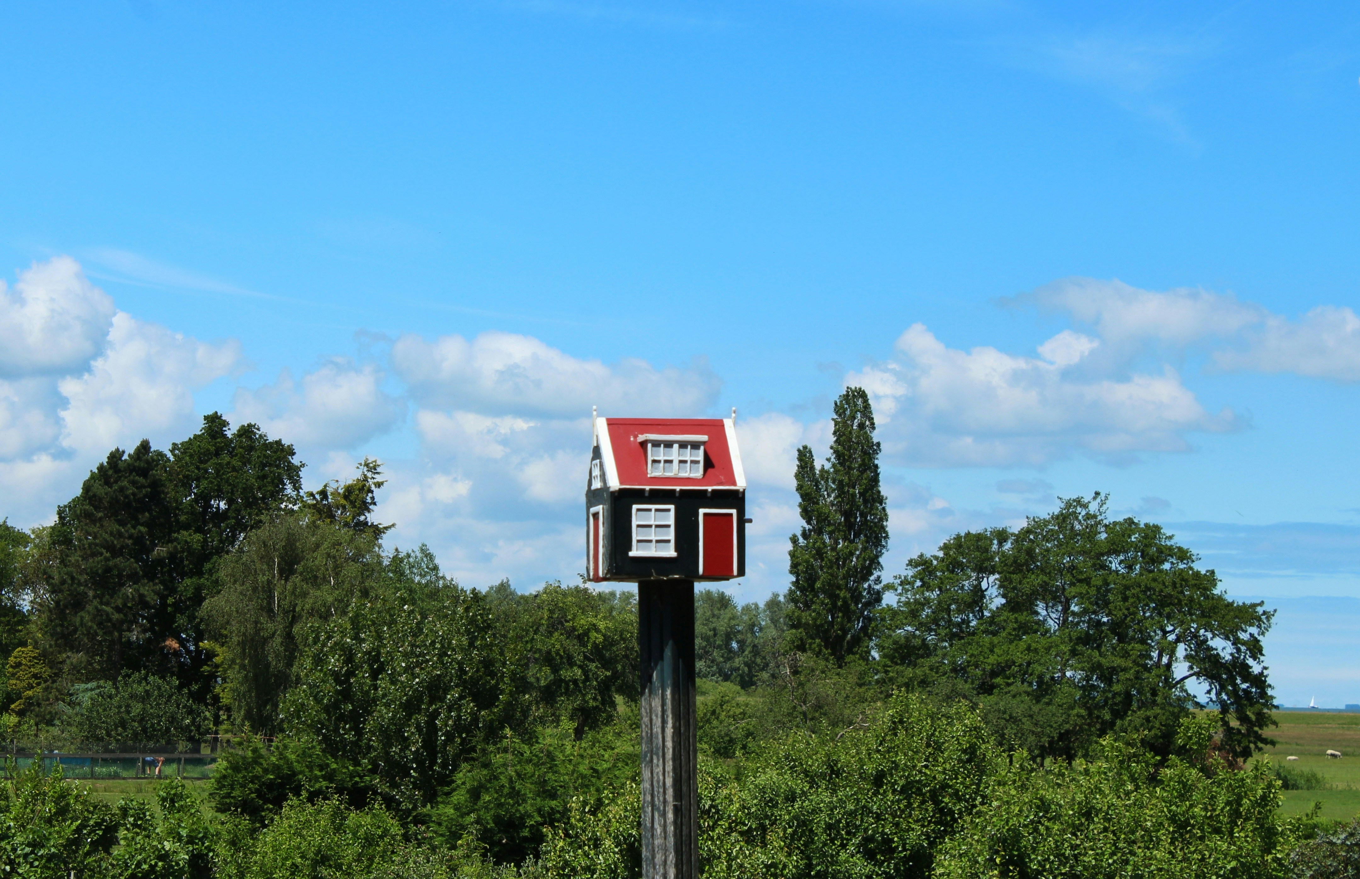 Red and black street sign photo – Free Marken Image on Unsplash