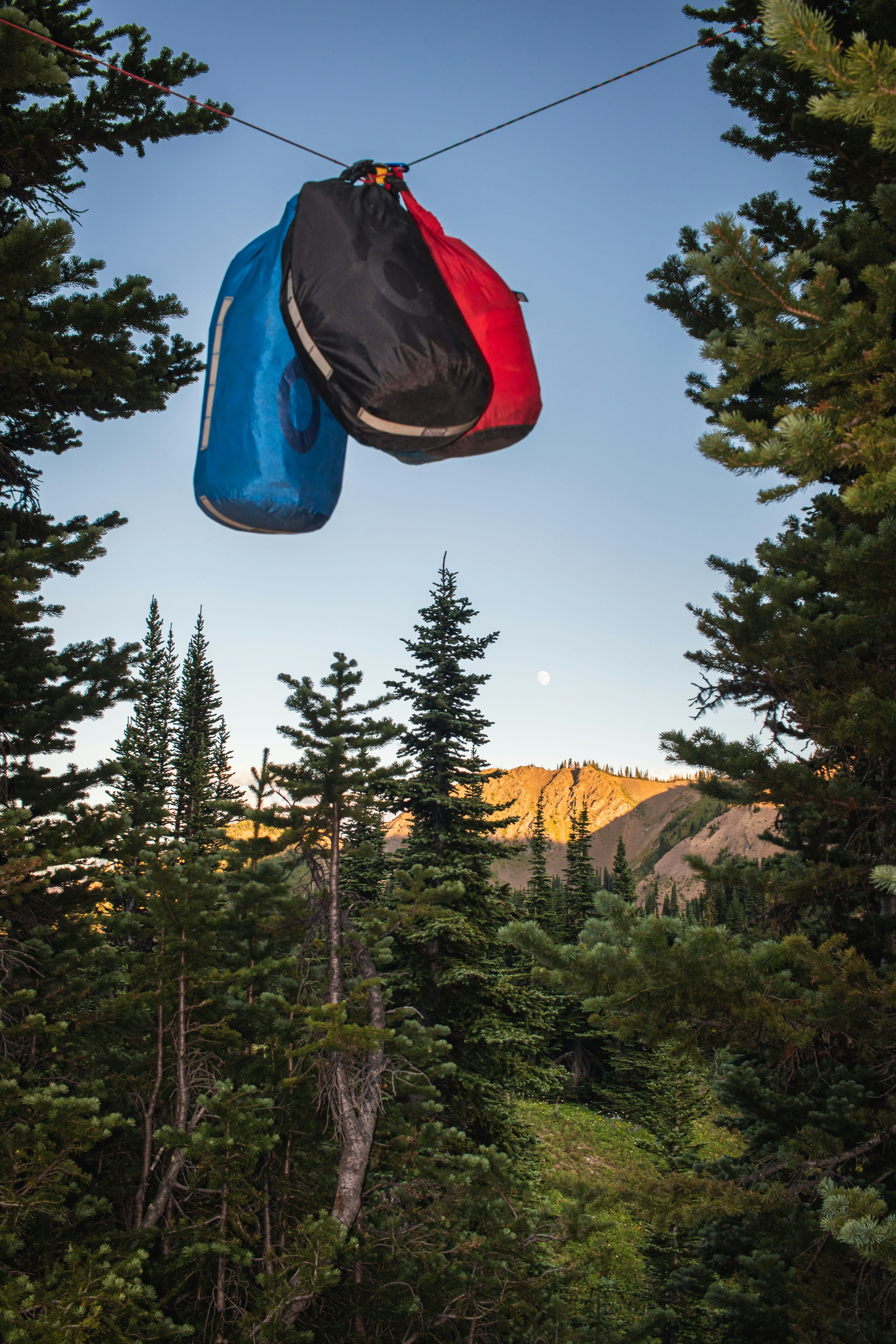 food strung between trees with ropes as a bear cache