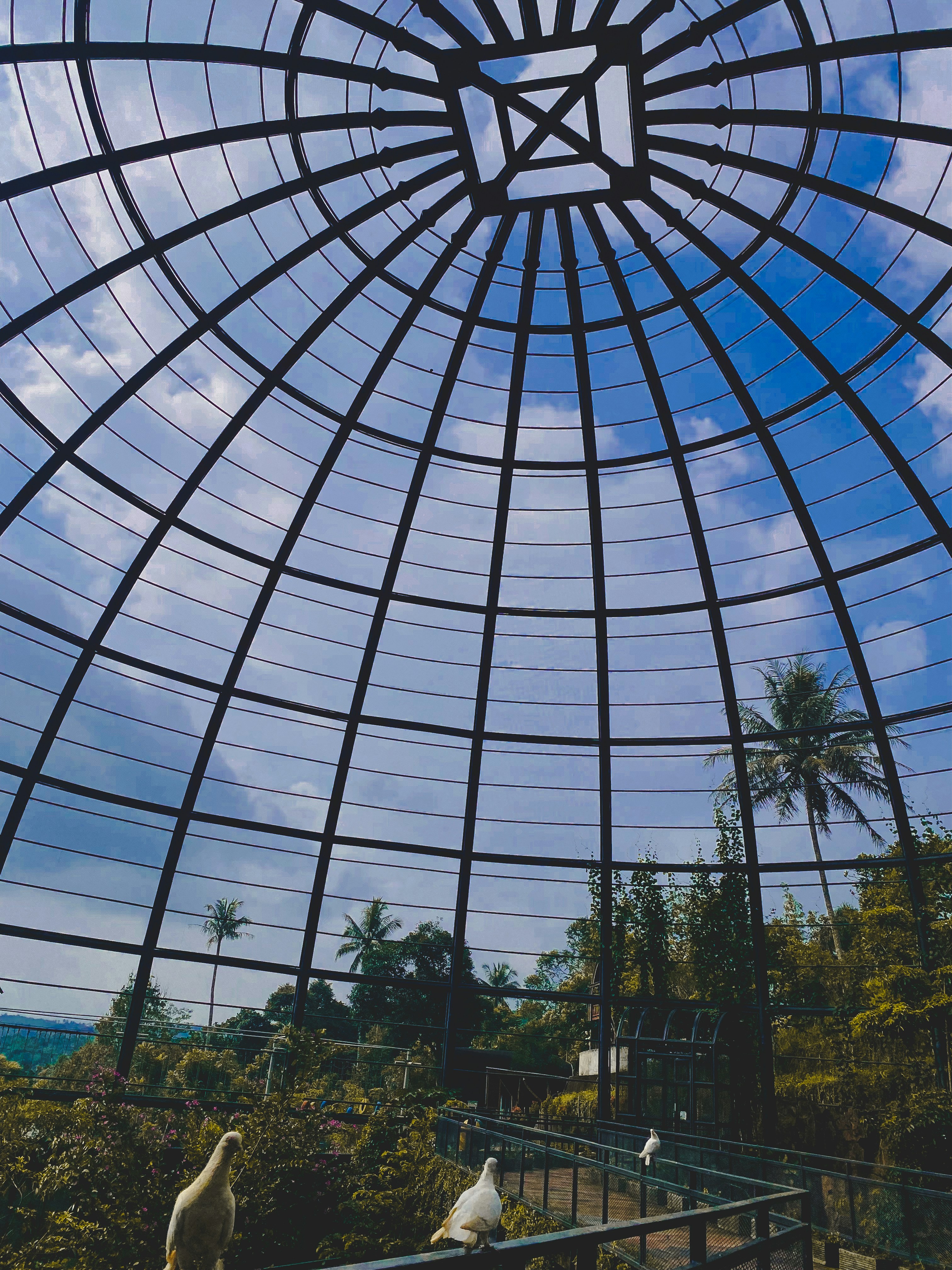 Iron Ringed Sky: Concentric Dome Framing a Coastal Garden
