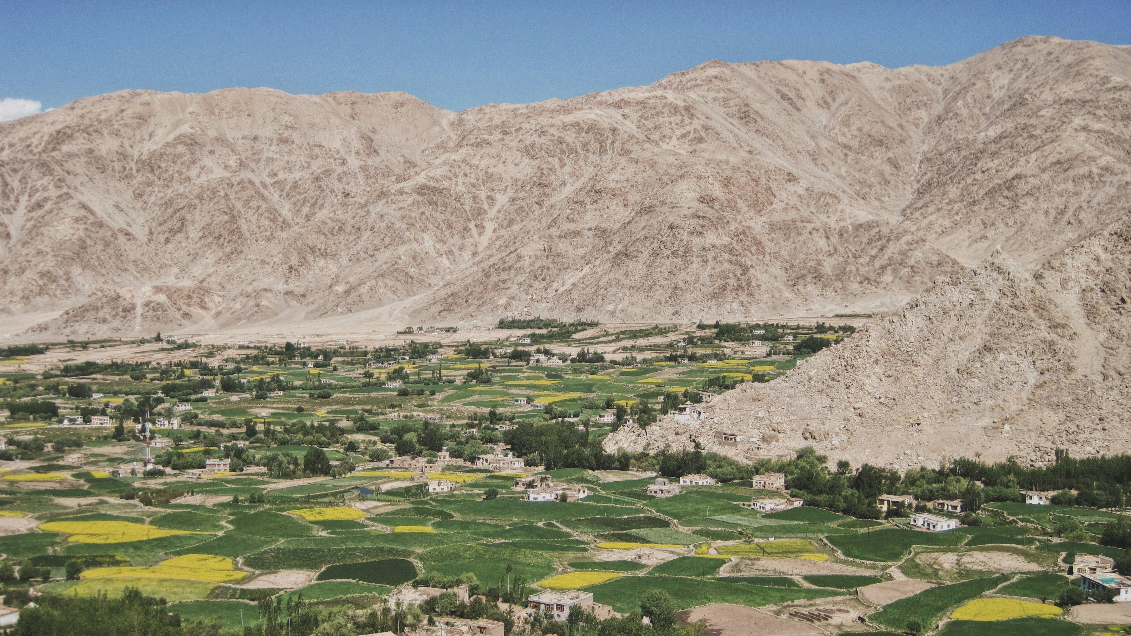 Patchwork Valley Beneath a Rugged Ridge
