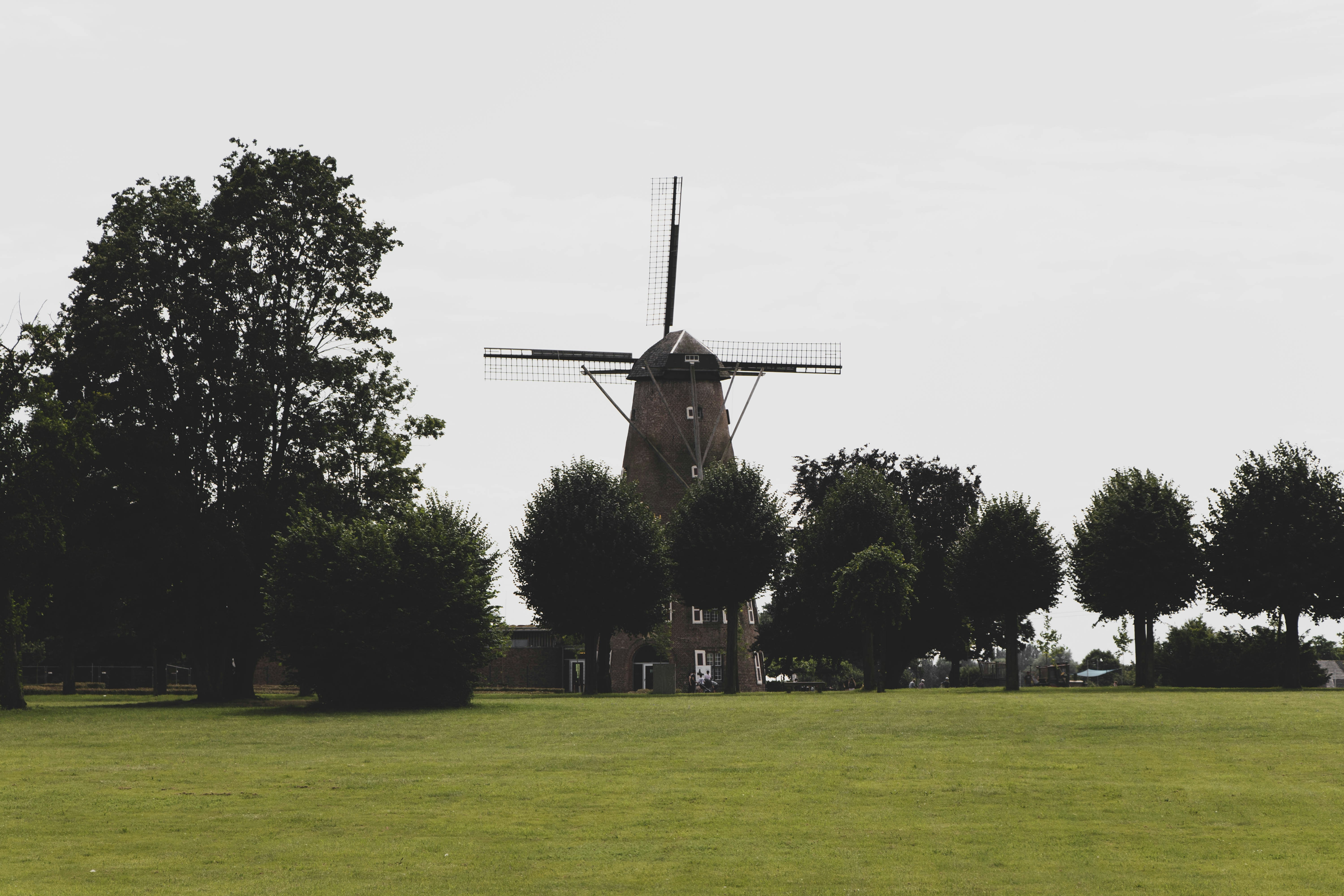 The Quiet Turn of a Windmill Over a Green Park
