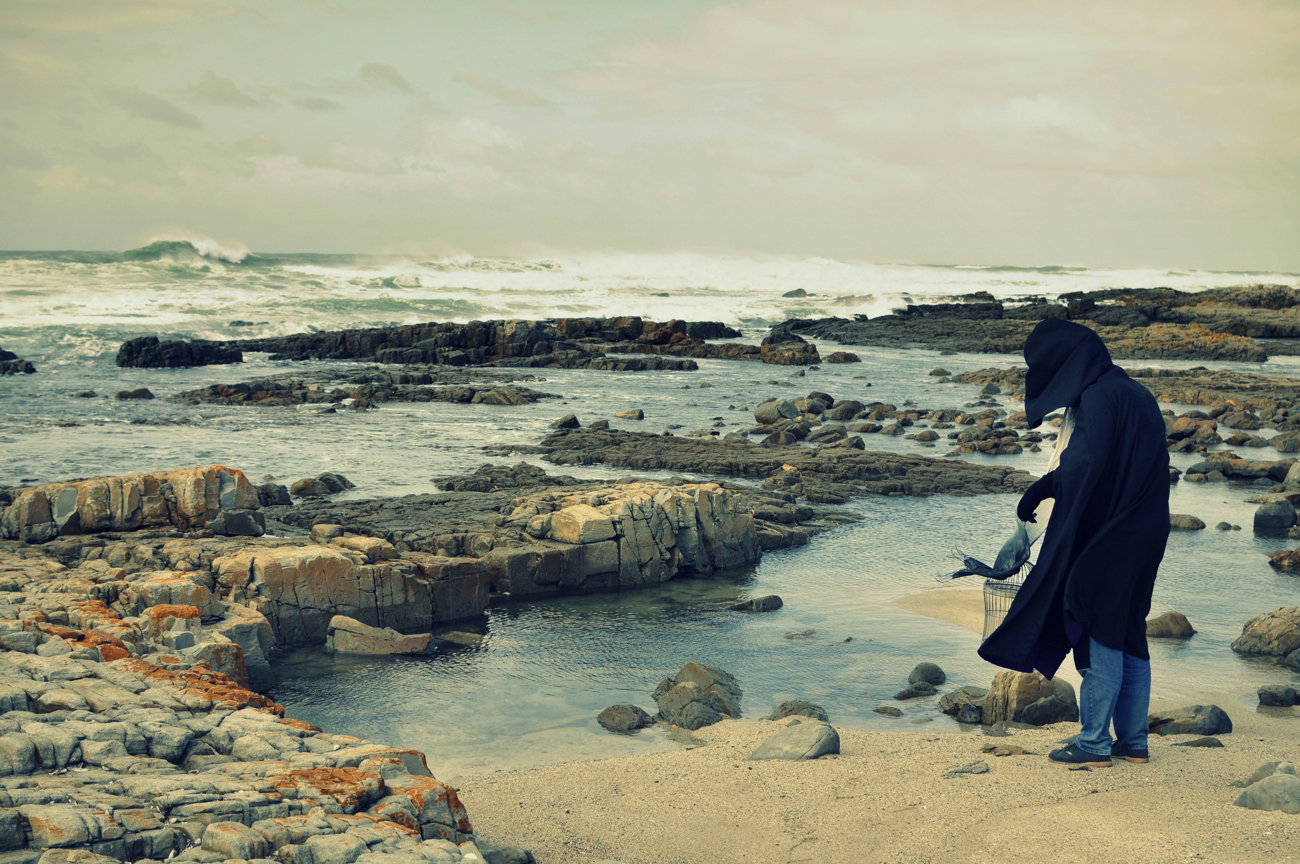 The Seeker of Tides