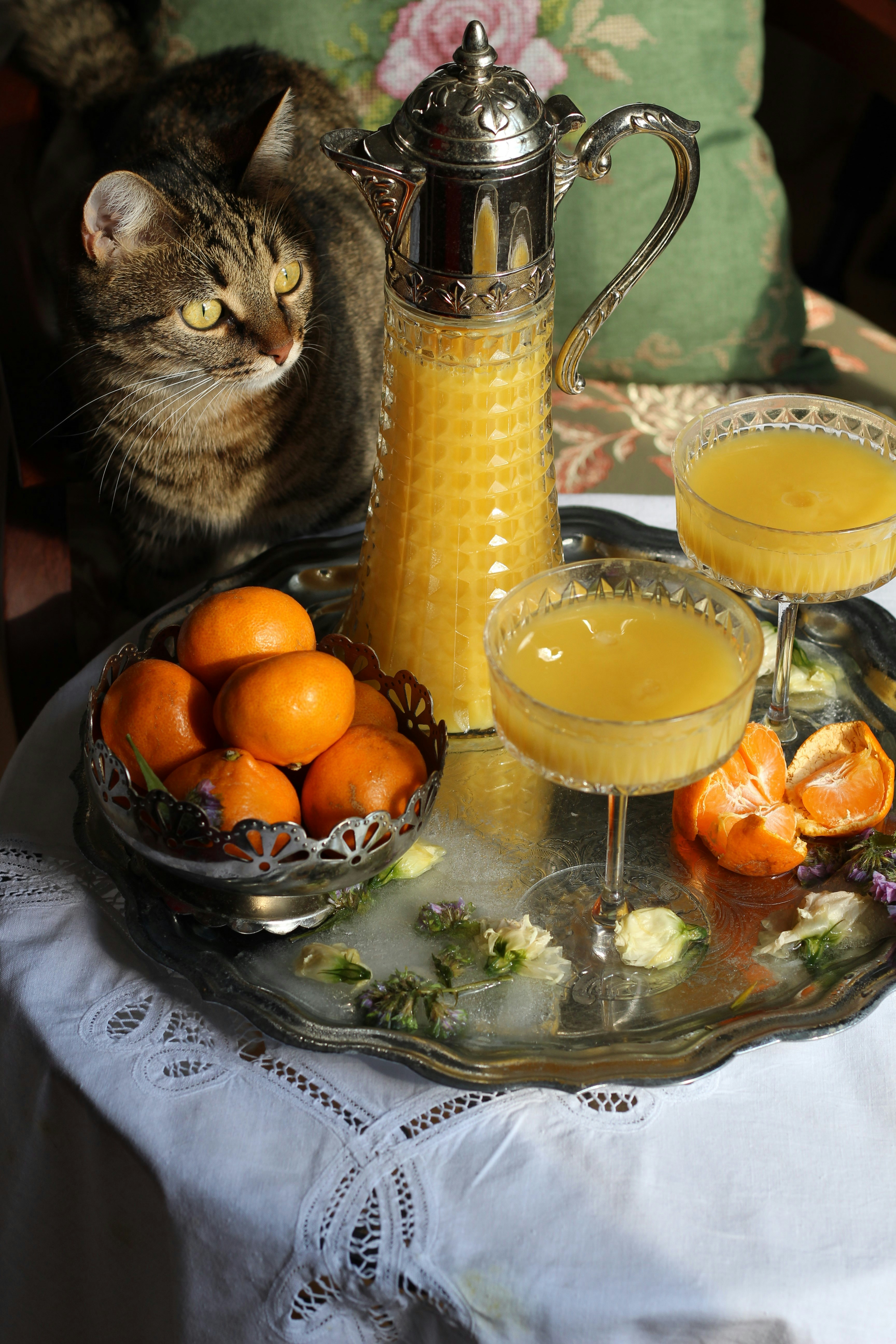A beautifully arranged table featuring a glass pitcher of orange juice, two elegant glasses, and a bowl of fresh mandarins, complemented by a curious cat observing the scene.