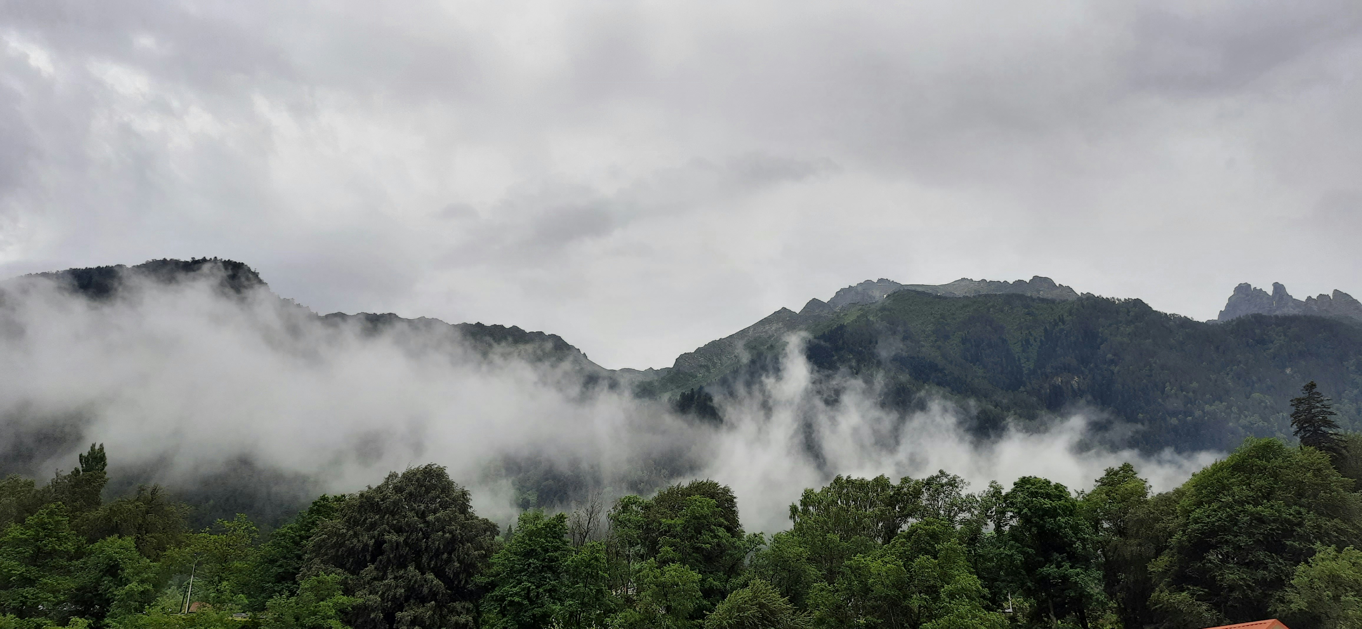 Lush green landscape with mountains shrouded in mist, creating a serene atmosphere. The clouds gently envelop the peaks, enhancing the natural beauty.