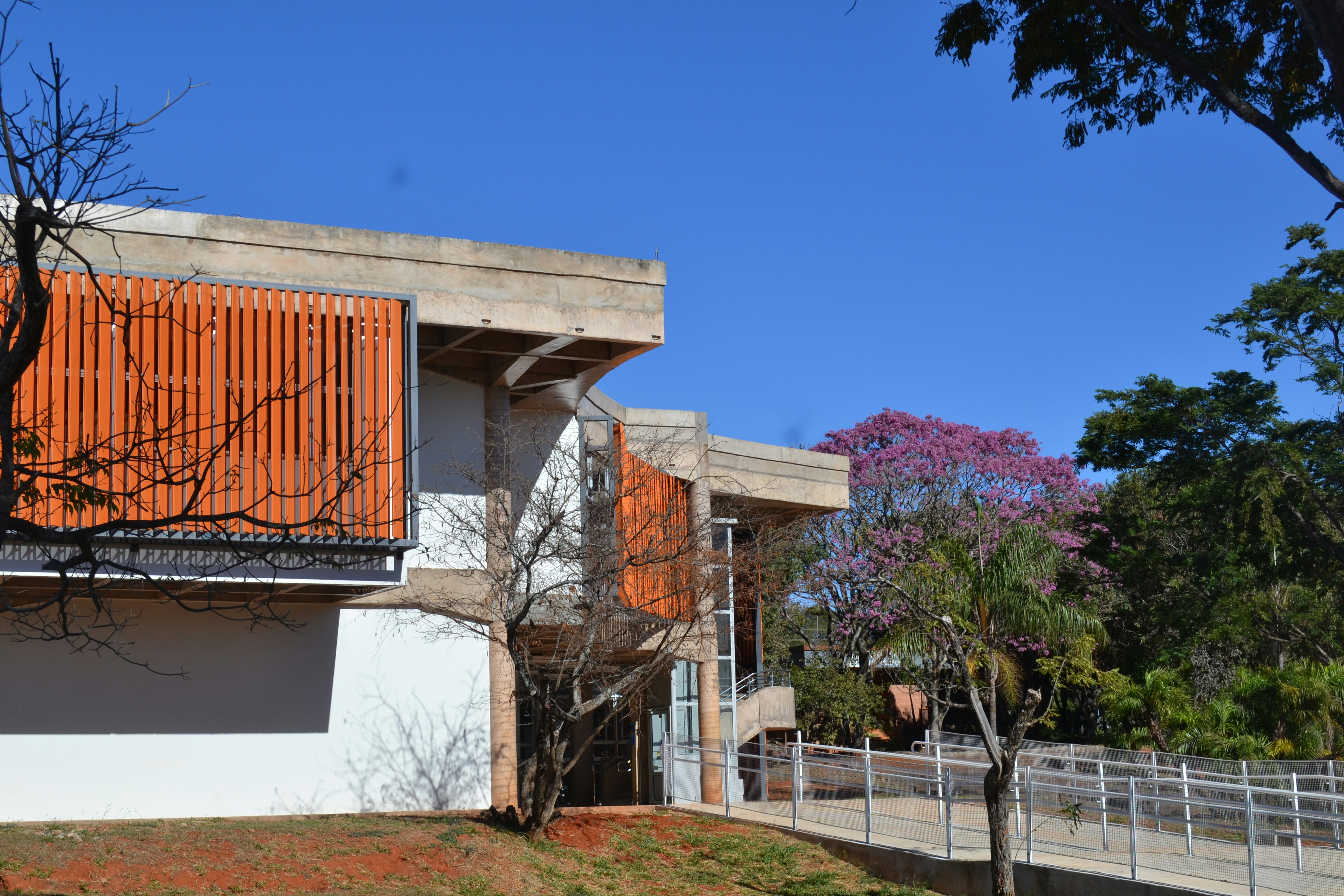 Concrete structure with wooden accents surrounded by lush greenery and a vibrant jacaranda tree under a clear blue sky.